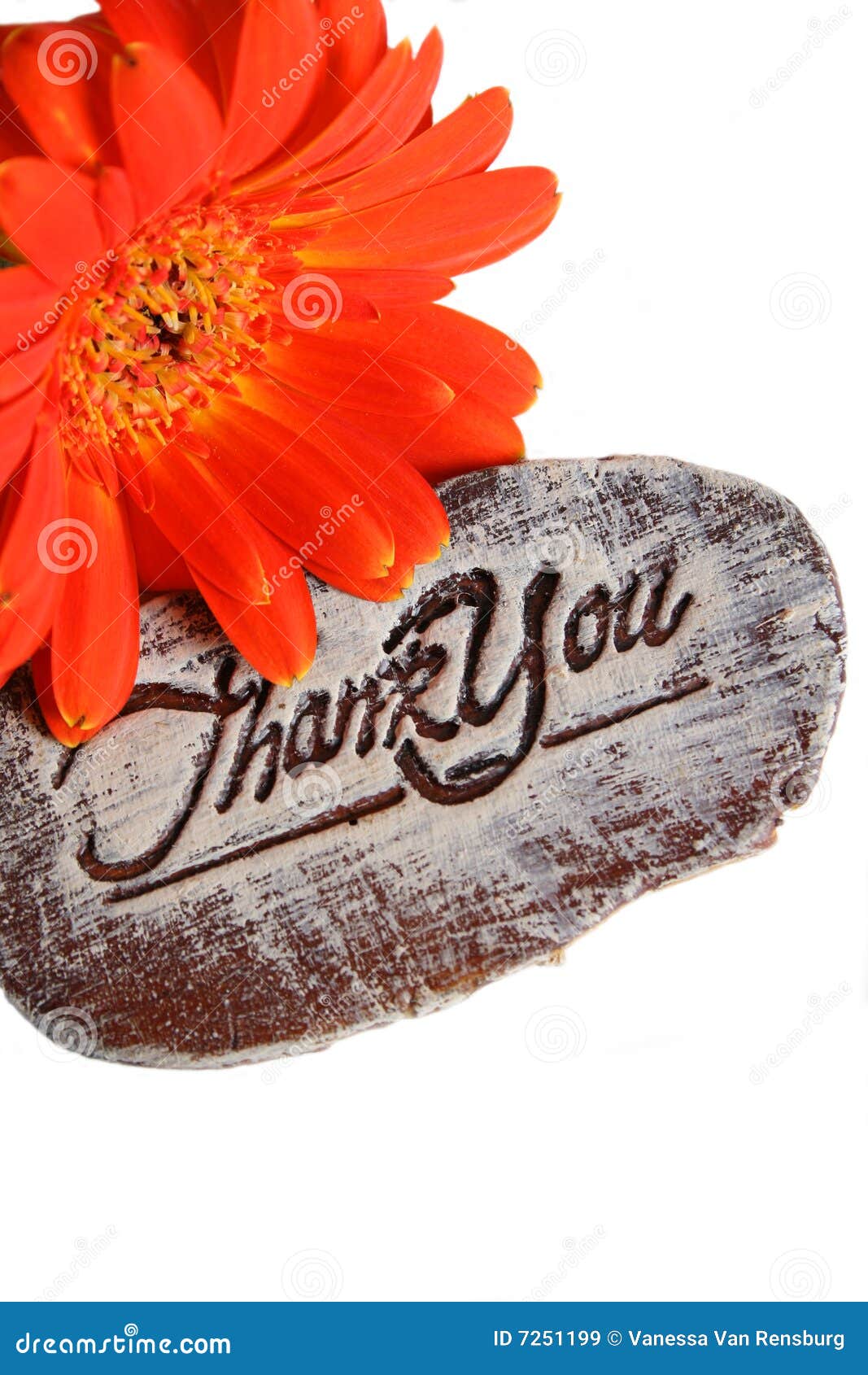 Wooden Sign Saying Thank You Stock Photos - Free & Royalty-Free Stock ...