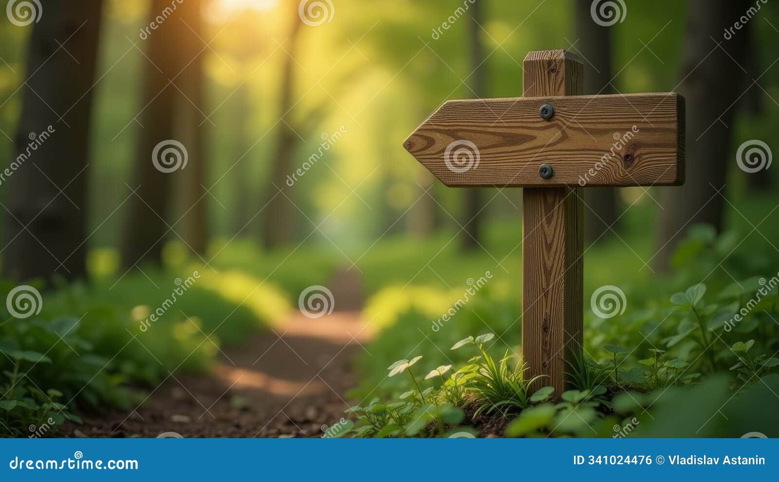 Wooden Sign with Arrow Under Text in Dense Green Forest Stock Photo ...