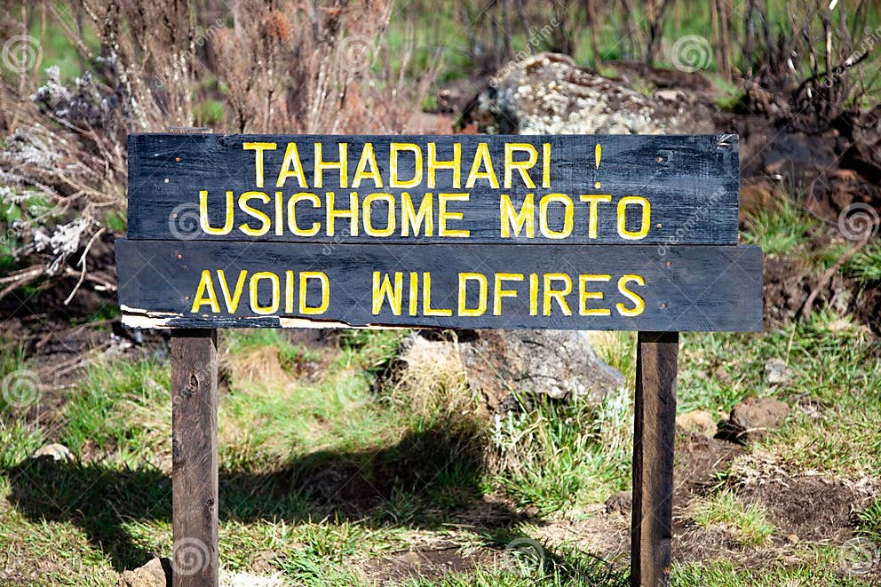 Wooden Sign Avoid Wildfires on the Path in the Forest Stock Photo ...