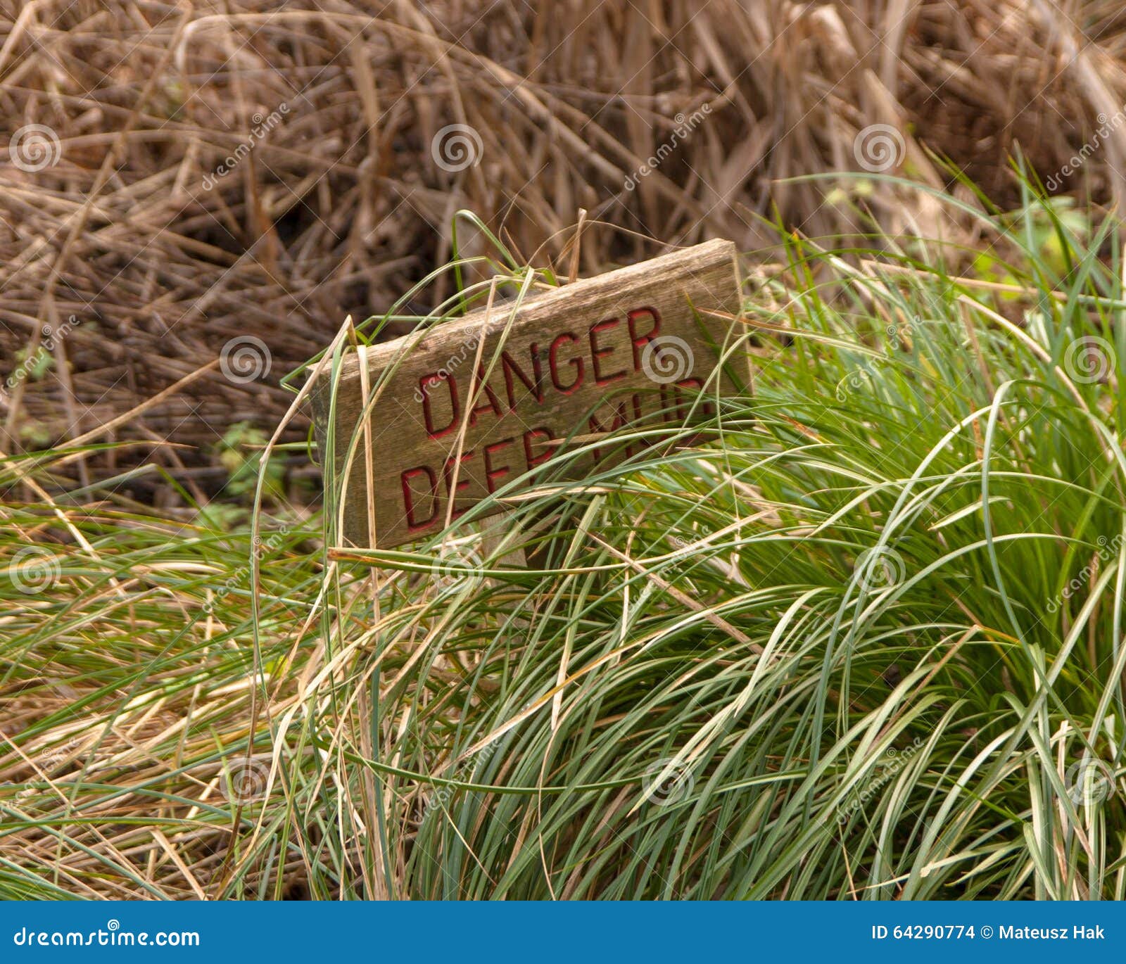 Wooden Sign Danger Deep Mud Stock Photo - Image of caution, river: 64290774