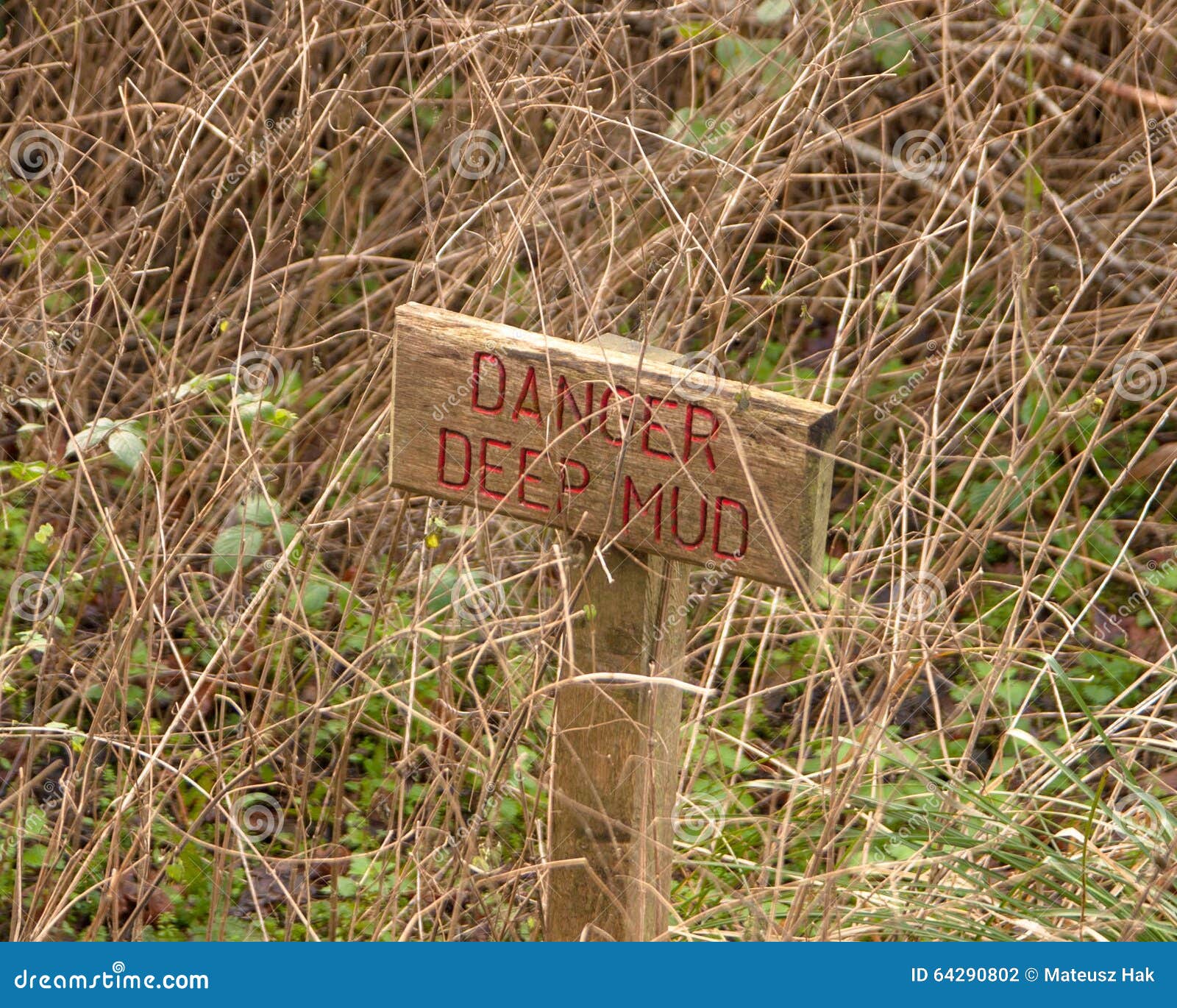 Wooden Sign Danger Deep Mud Stock Photo - Image of sign, grass: 64290802