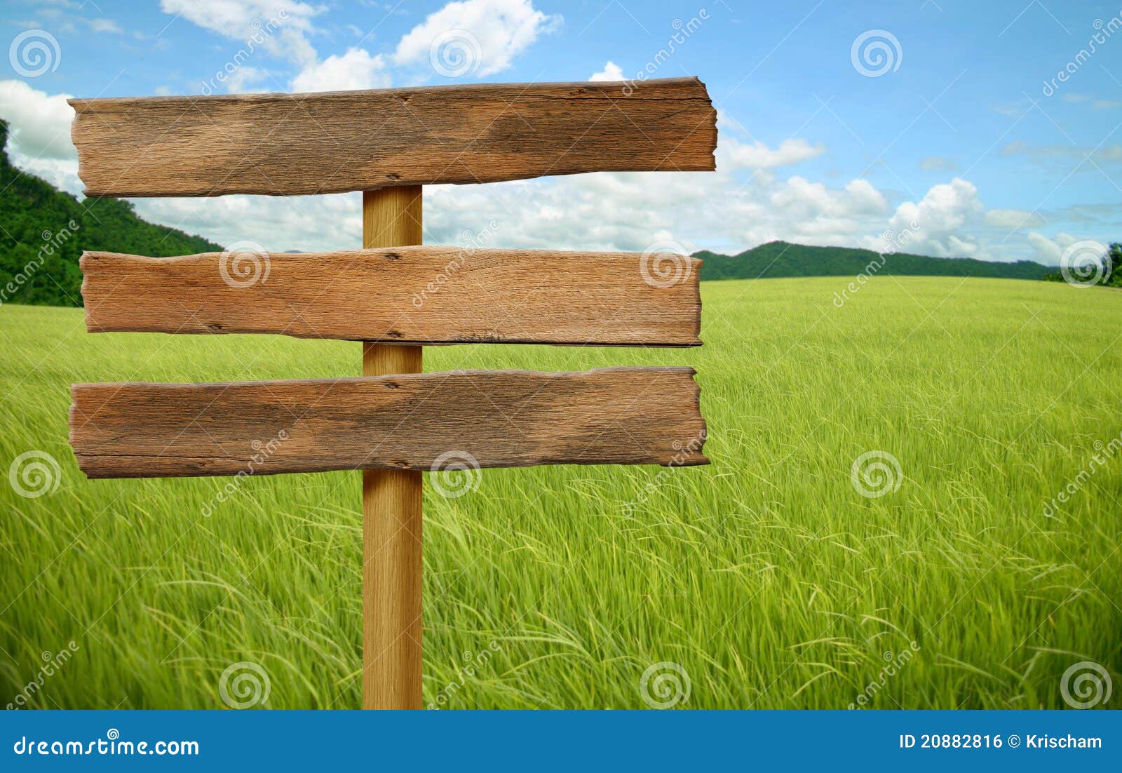 Wooden sign on field grass stock photo. Image of grass - 20882816