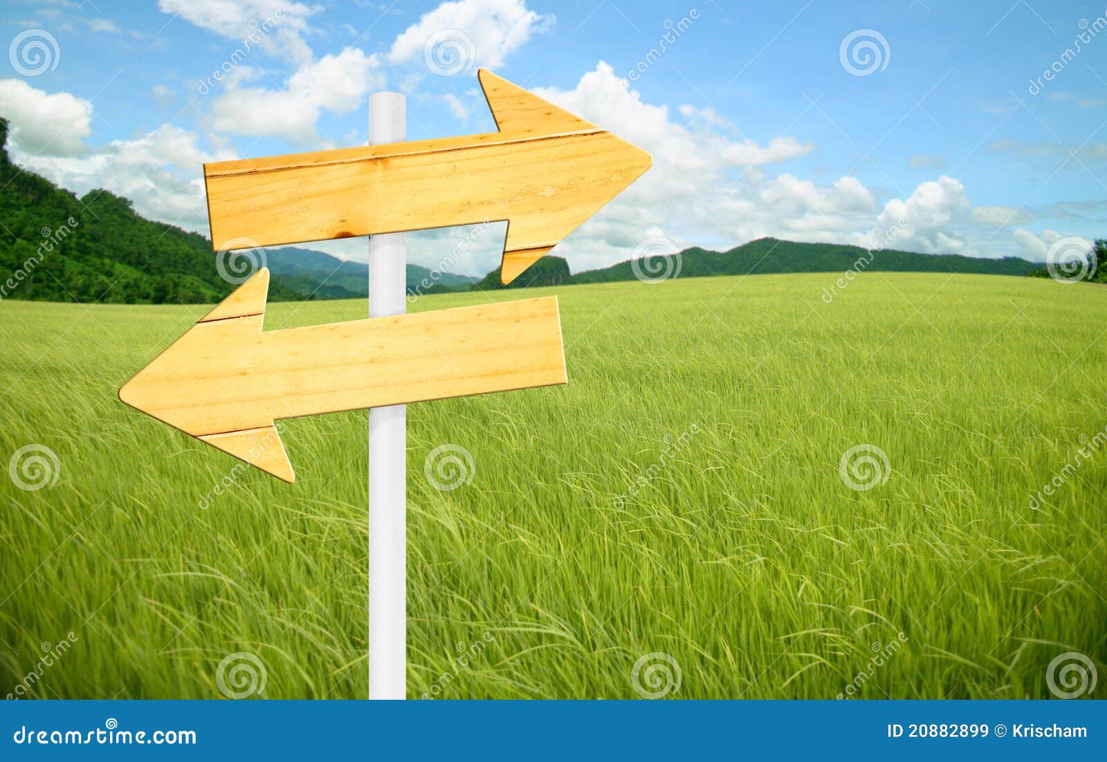 Wooden sign on field grass stock image. Image of green - 20882899