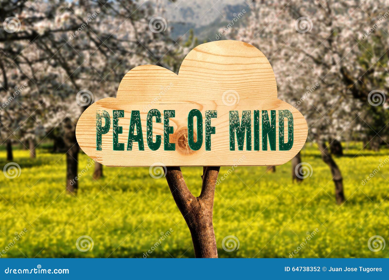 Wooden Sign Indicating Peace Stock Photo - Image of board, direction ...