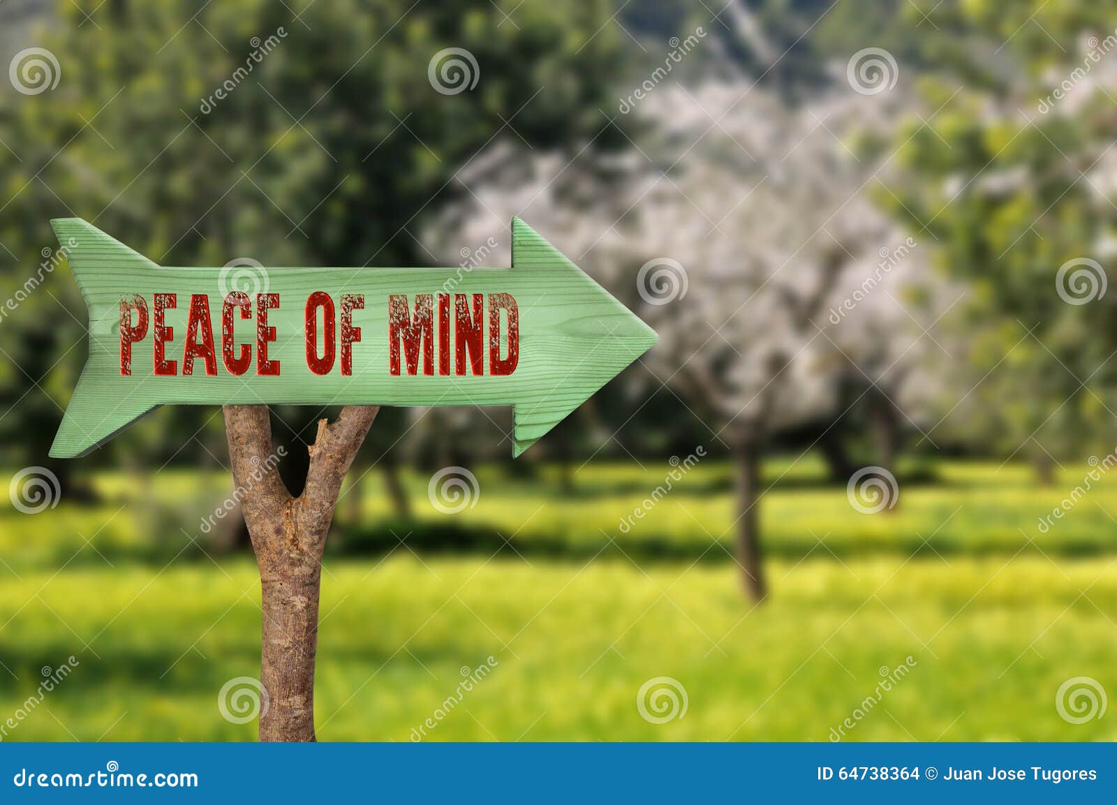 Wooden Sign Indicating Peace Stock Photo - Image of texture, mind: 64738364