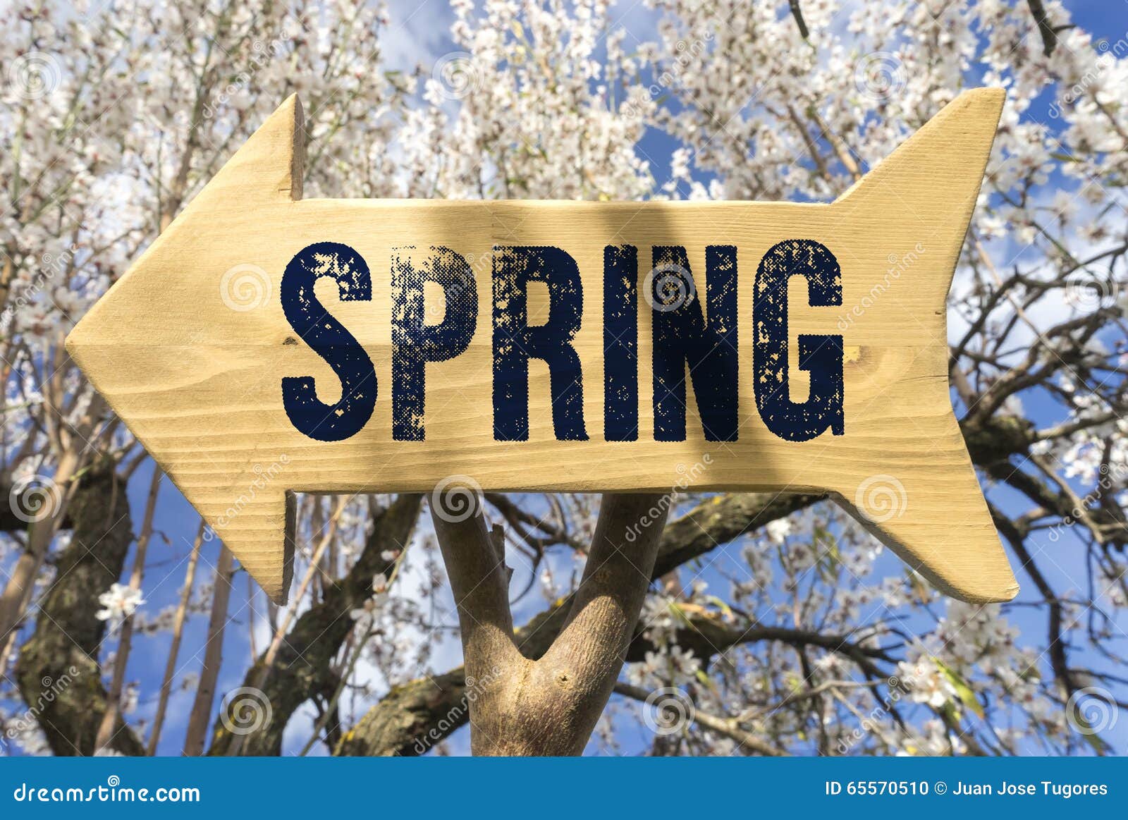 Wooden Sign Indicating Spring Stock Photo - Image of almond ...
