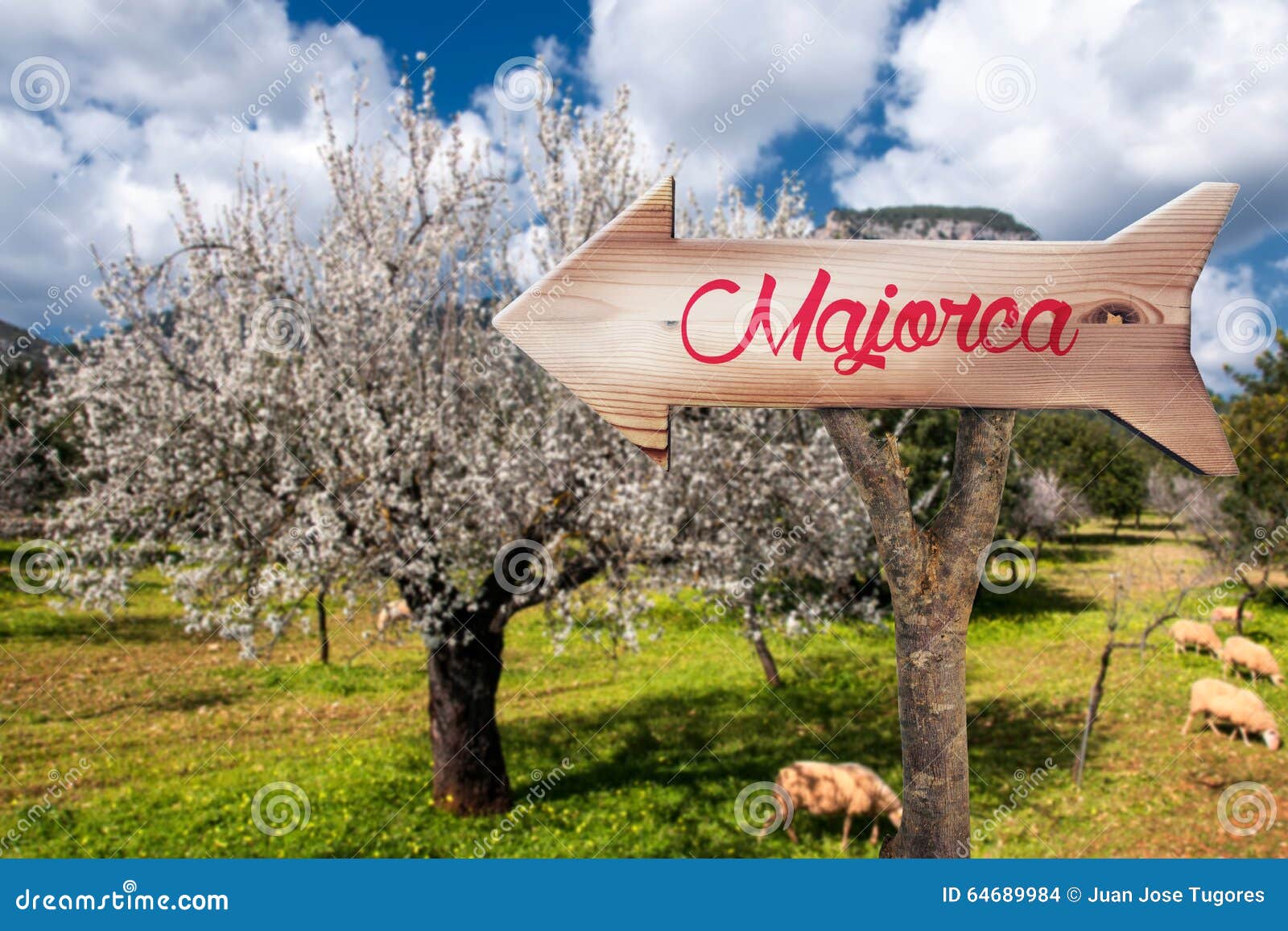 Wooden Sign Indicating To Mallorca Stock Photo - Image of majorca ...