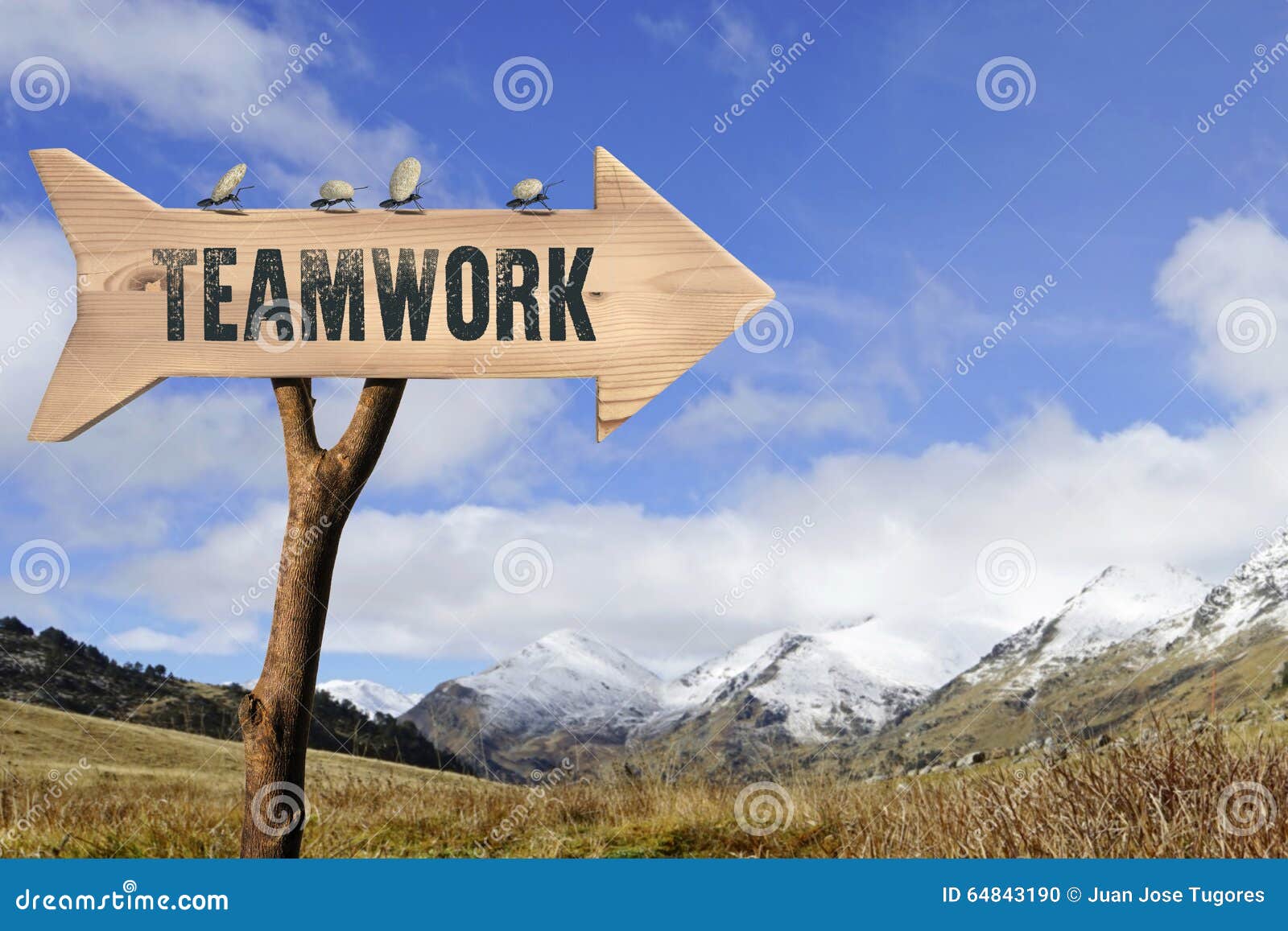 Wooden Sign Indicating To Teamwork Stock Photo - Image of empty, wooden ...