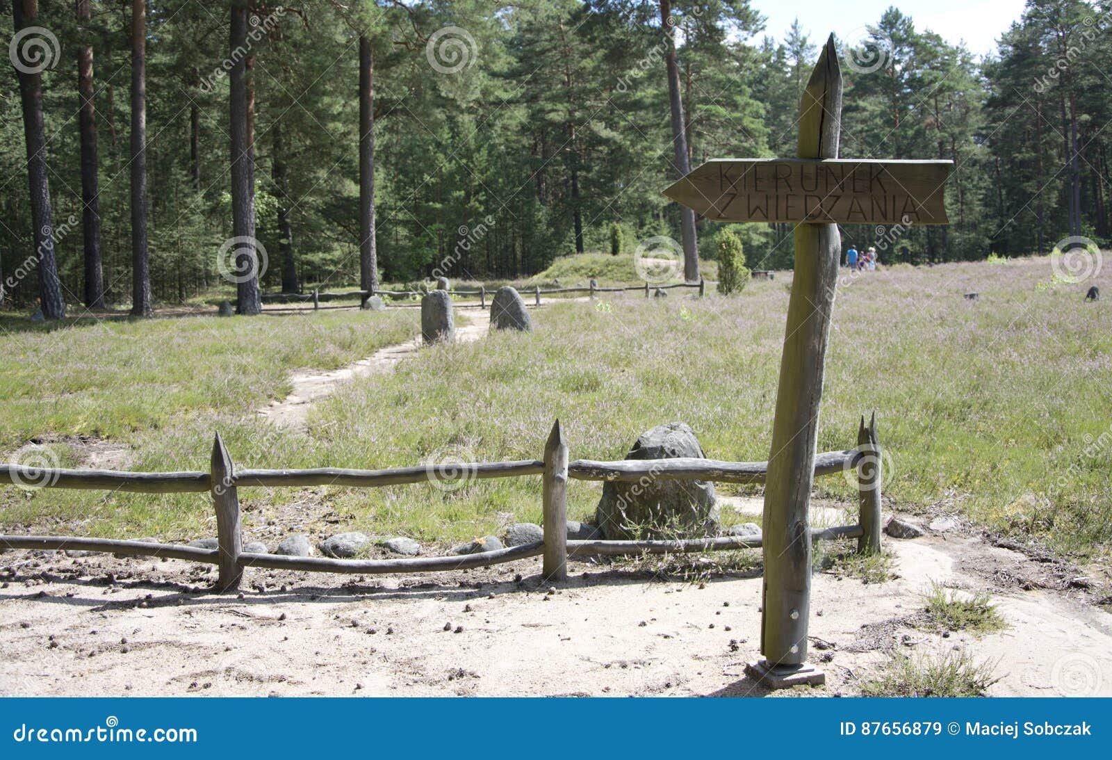 Wooden Sign this Way in the Forest Stock Image - Image of material ...