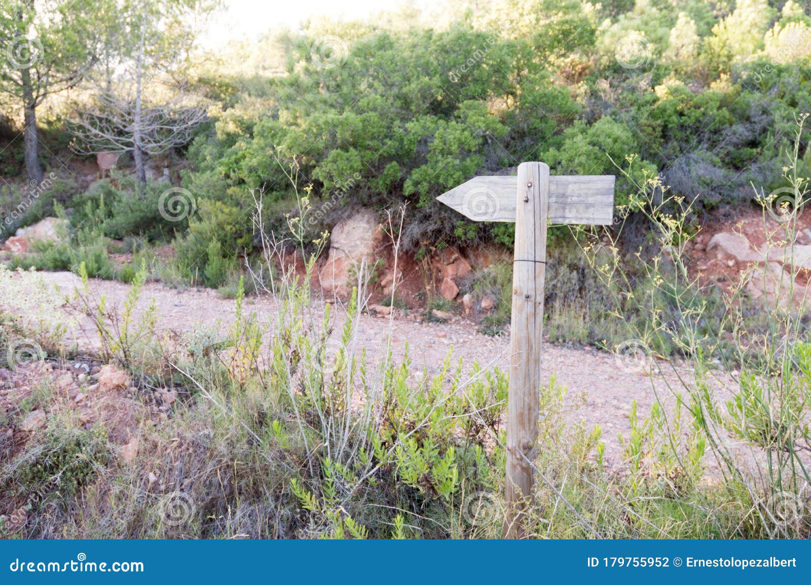 Wooden Signage And Coin In Jar .fade Color Effect Wooden Background ...
