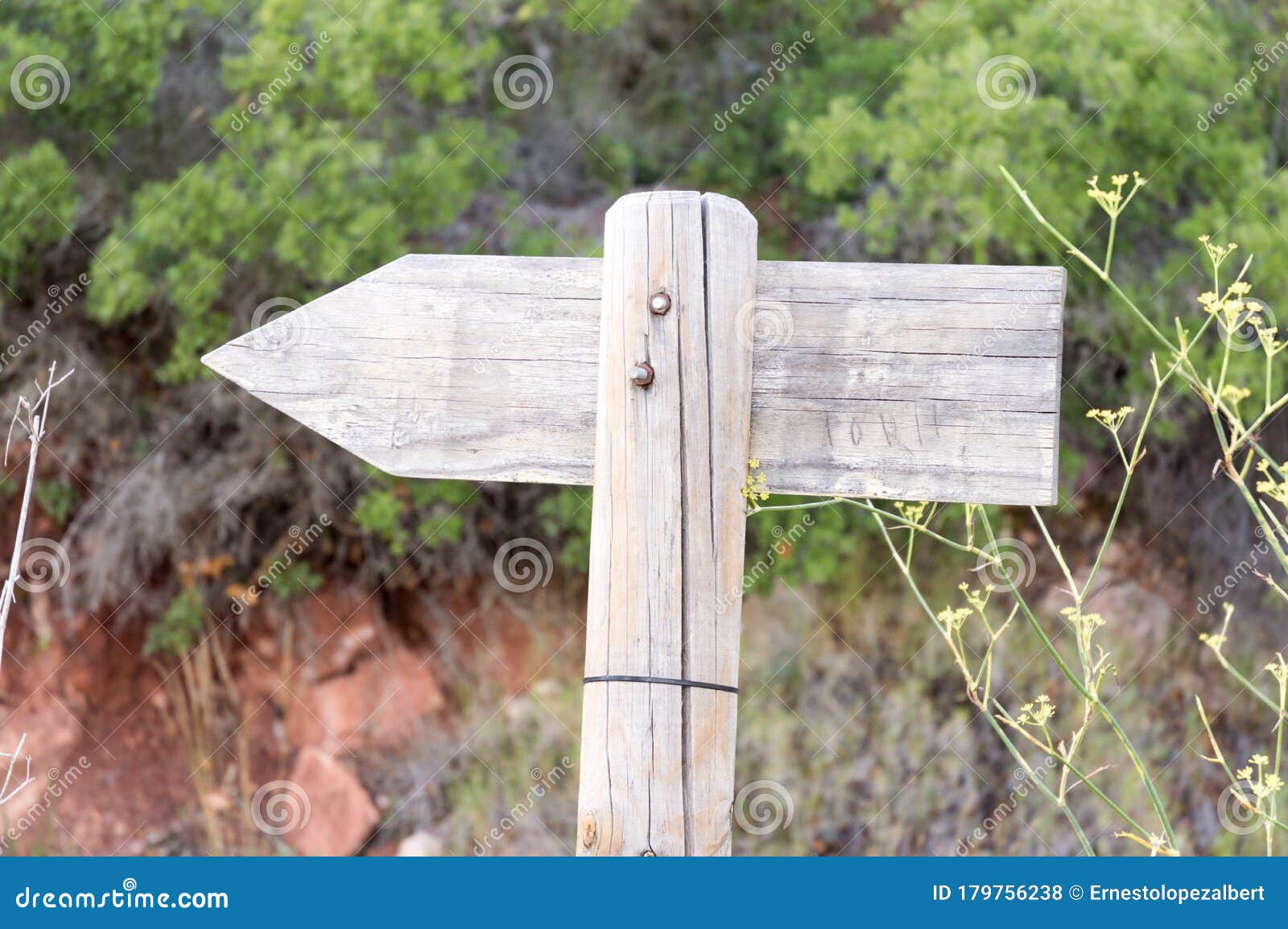 Wooden Signage Indicating a Rural Footpath Stock Photo - Image of posts ...