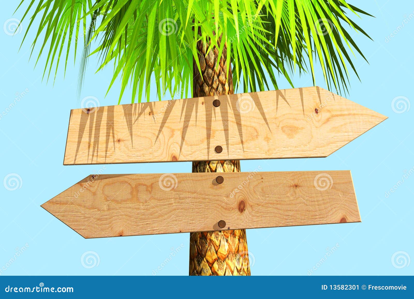 Wooden Signboard on a Palm Tree Stock Illustration - Illustration of ...