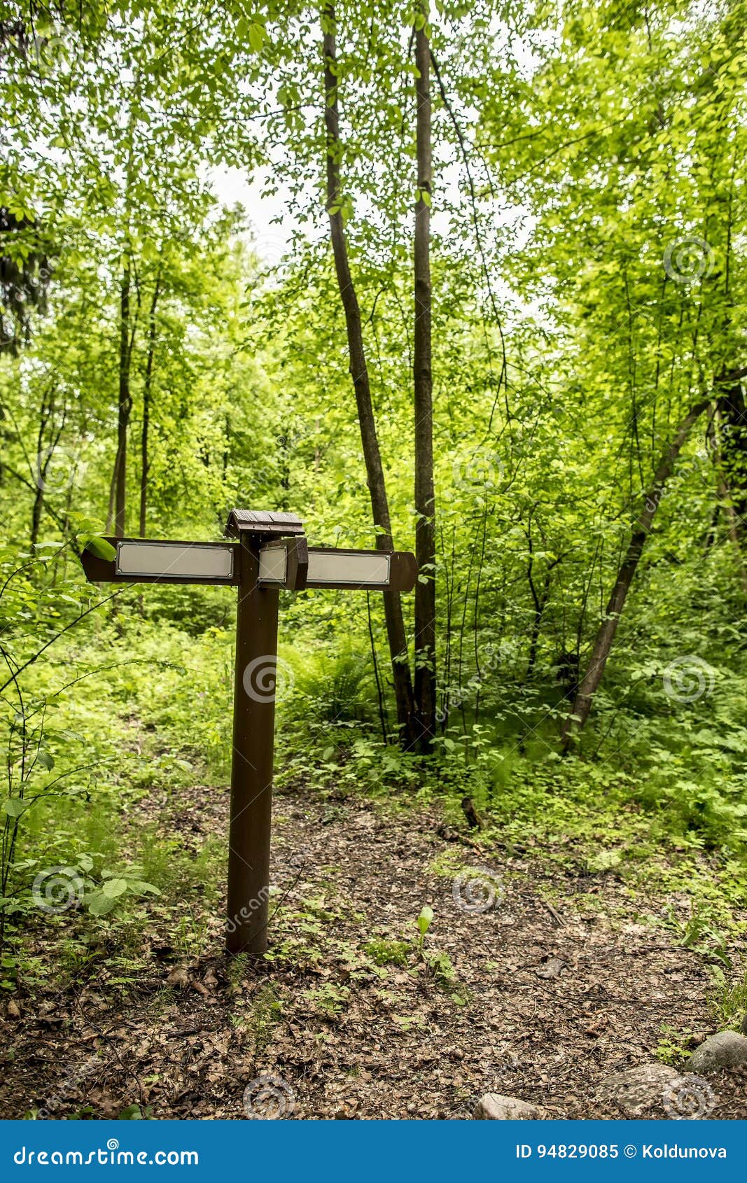 Wooden Signpost with Arrows beside the Path in the Woods. Stock Image ...