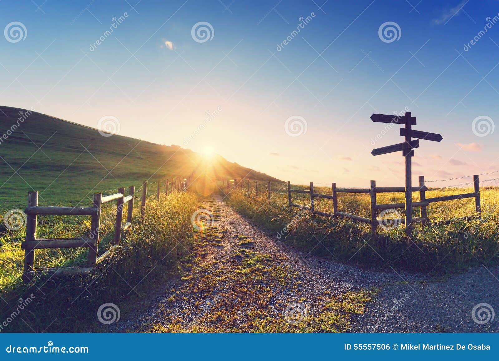 Wooden Signpost Near a Path Stock Photo - Image of rays, pathway: 55557506