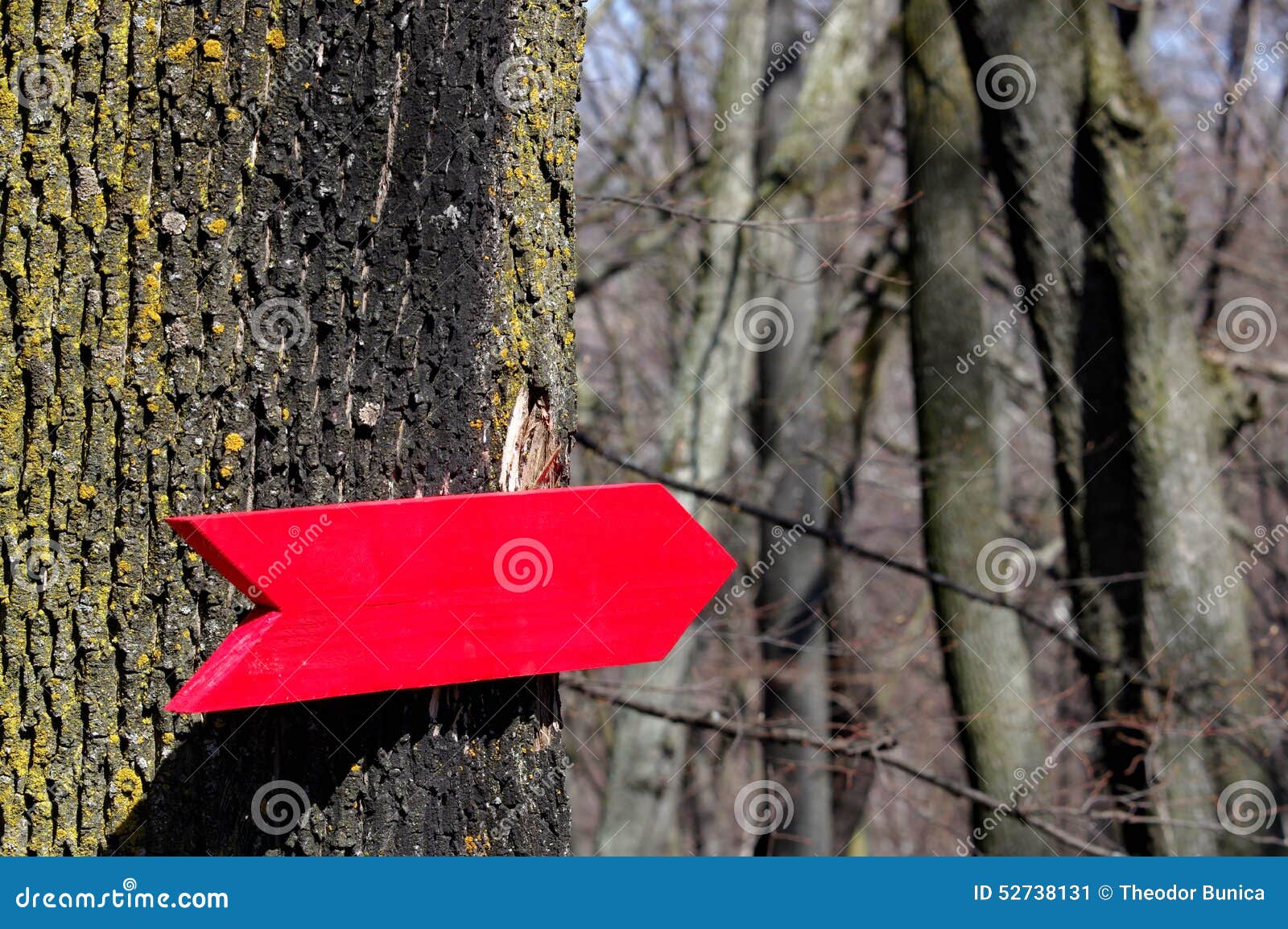 Wooden red signpost stock image. Image of isolated, metaphor - 52738131