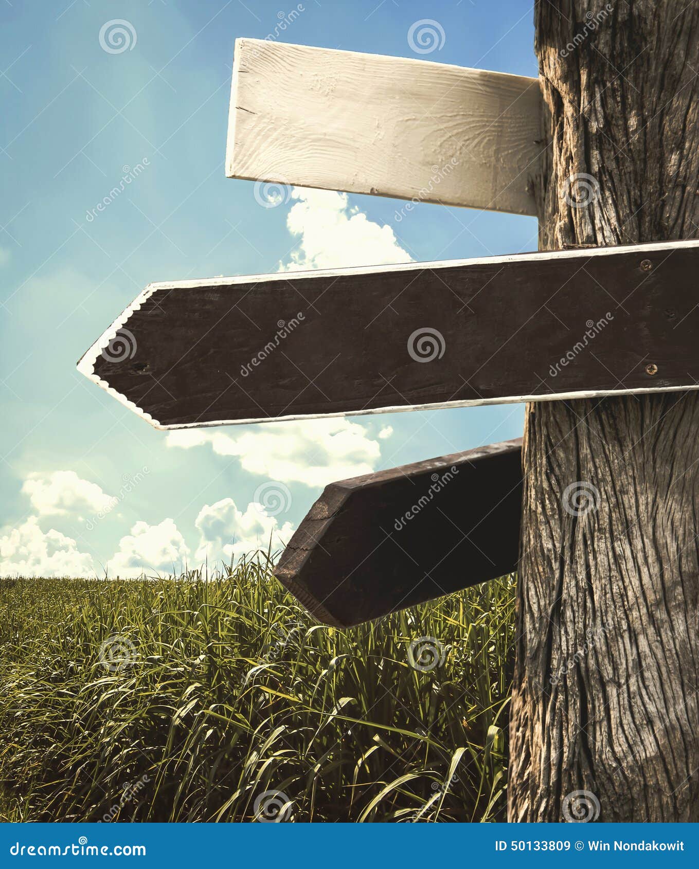 Wooden signpost stock image. Image of empty, outdoor - 50133809