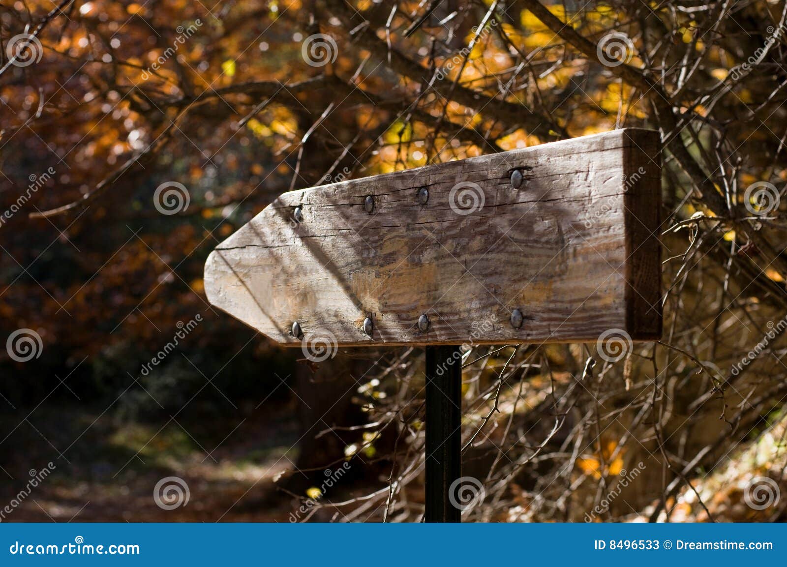 Wooden Sing Arrow Indicating a Road in Forest. Stock Image - Image of ...