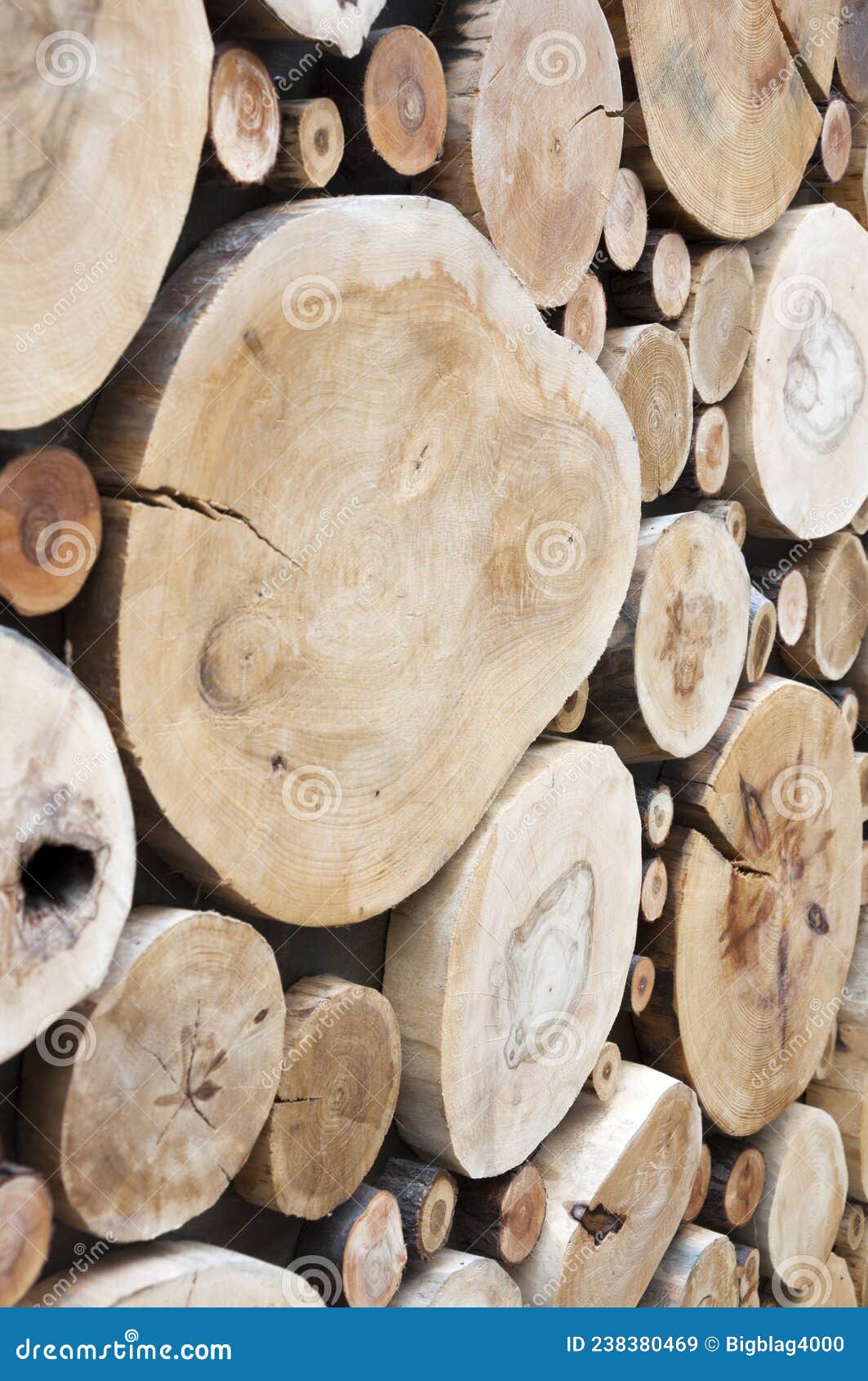 Wooden Slabs Wall.Set of Log Slices.Abstract Backdrop. Stock Image ...