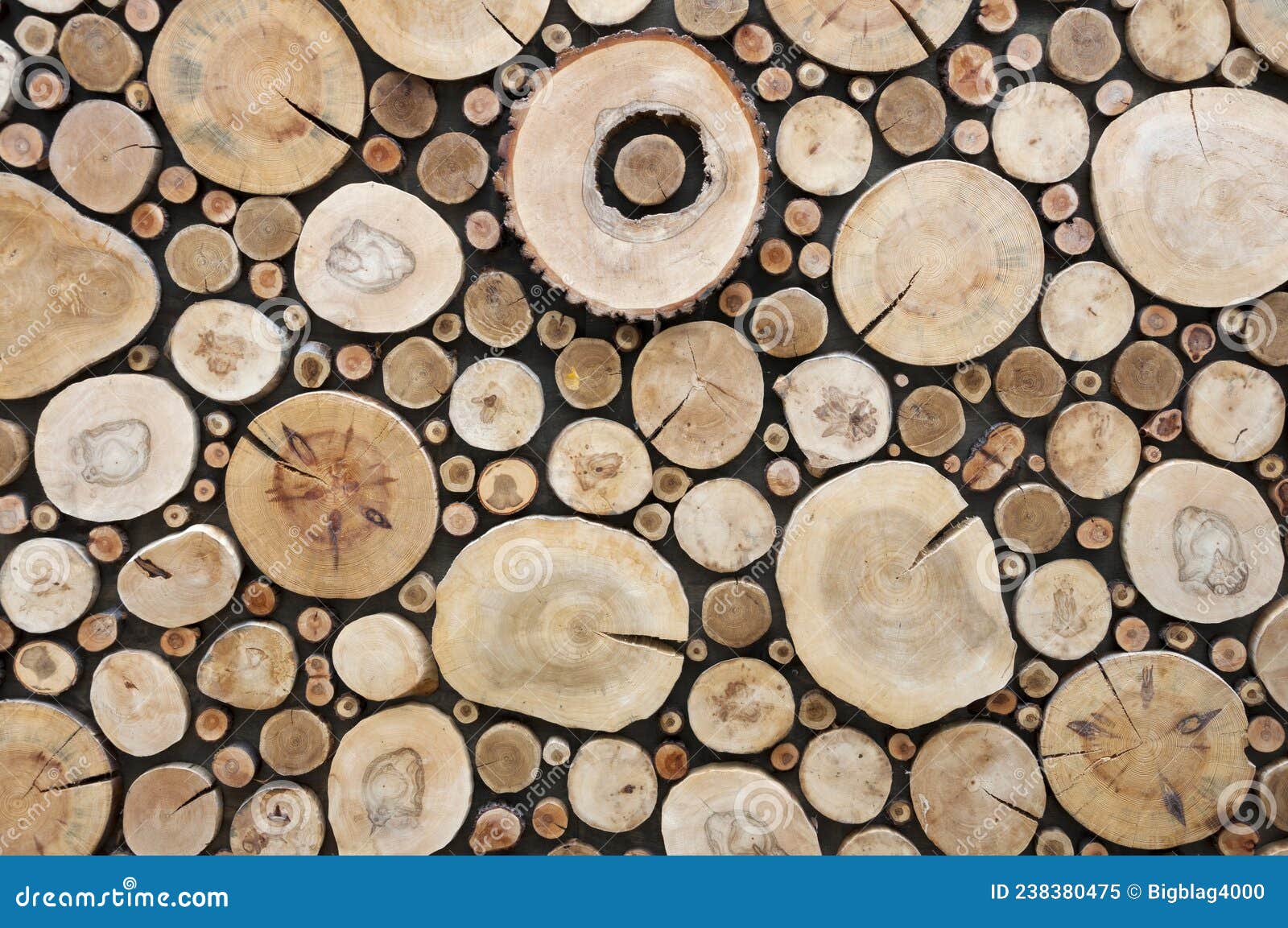 Wooden Slabs Wall.Set of Log Slices.Abstract Backdrop. Stock Image ...