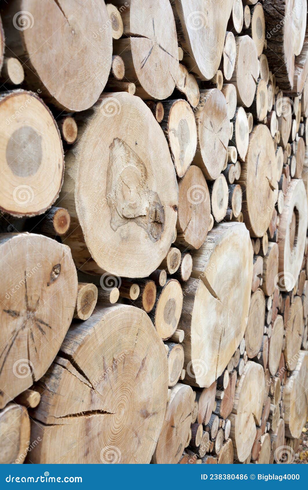 Wooden Slabs Wall.Set of Log Slices.Abstract Backdrop. Stock Photo ...