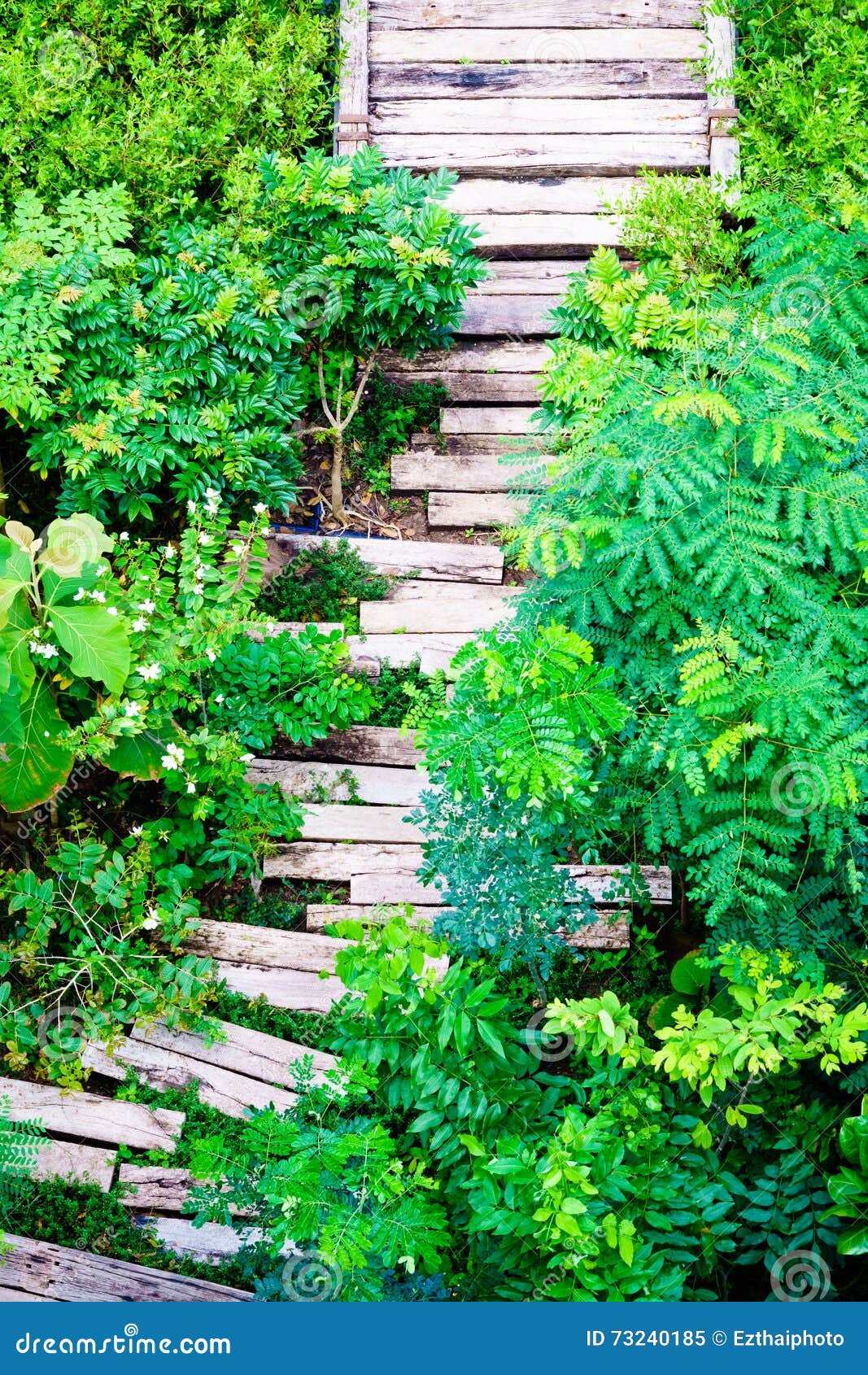 Wooden Sleepers Path in the Garden Stock Image - Image of botany ...