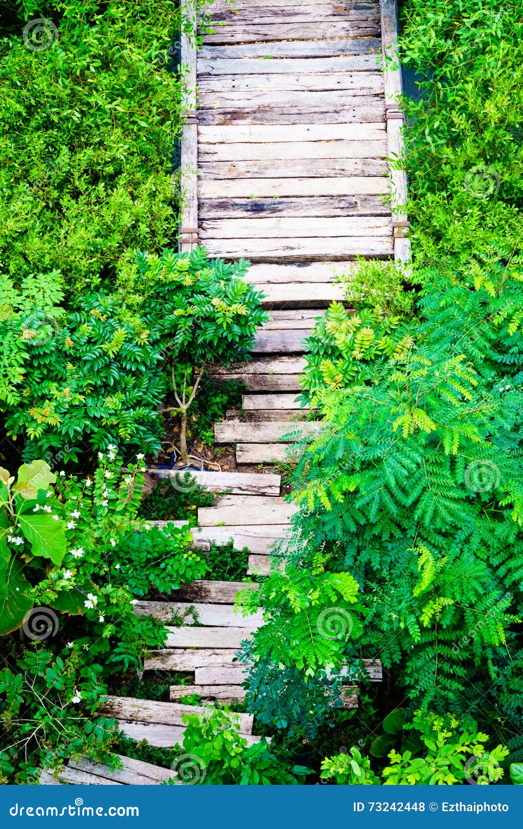 Wooden Sleepers Path in the Garden Stock Photo - Image of plank, grunge ...