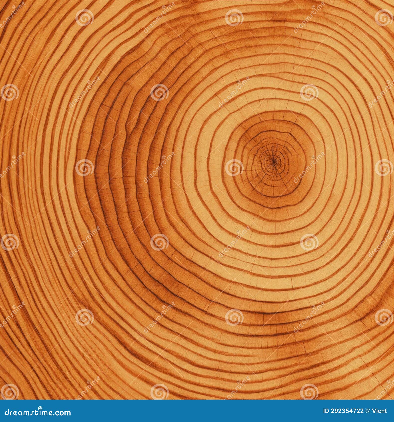 Wooden slice texture photo stock photo. Image of industry - 292354722