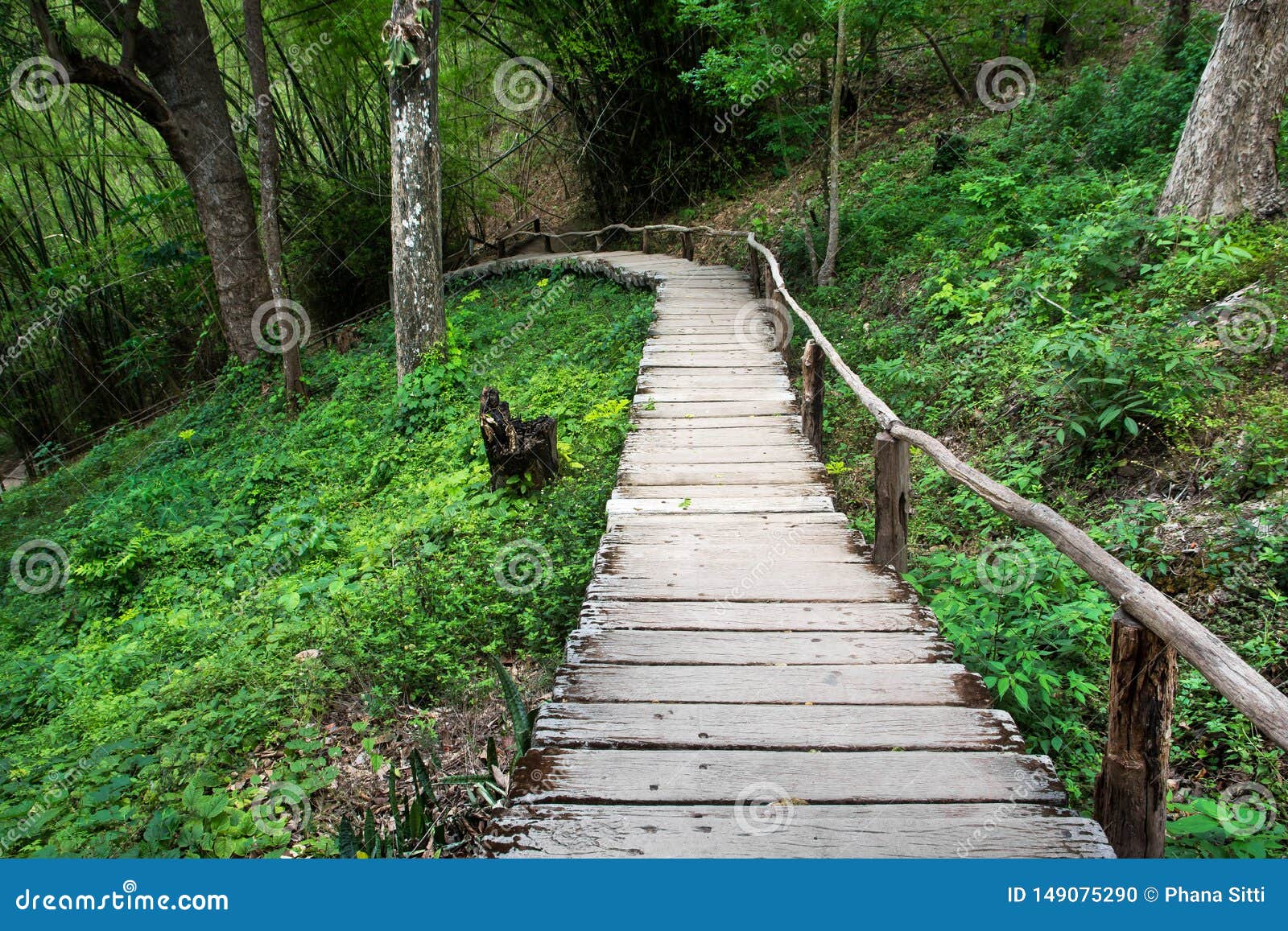 Slope Walkway Stock Images - Download 1,670 Royalty Free Photos