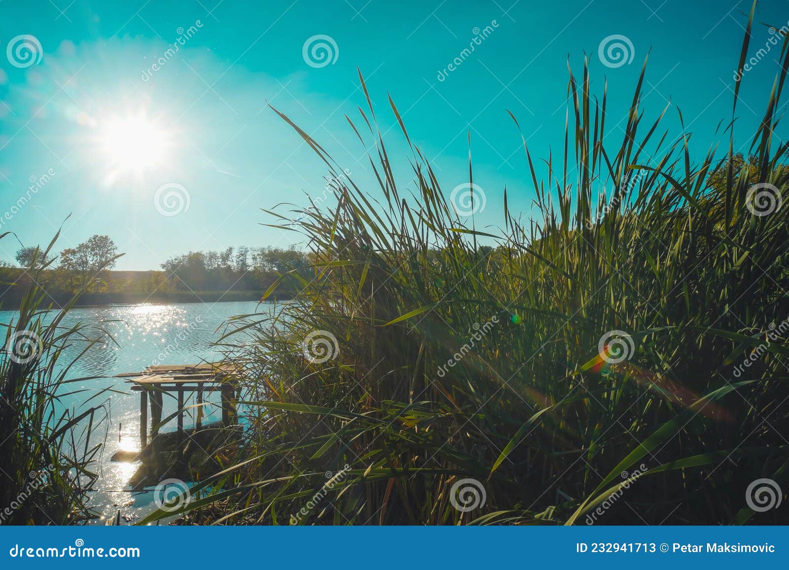 Wooden Small Pier on Sunny Lake Stock Image - Image of lake, nature ...