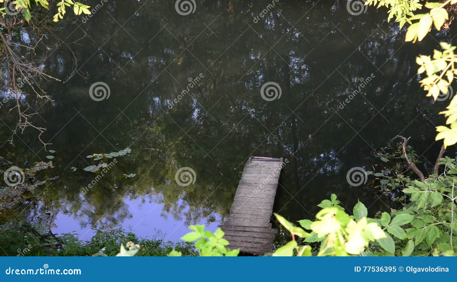 Wooden Small Platform on River. Stock Video - Video of meadow, green ...