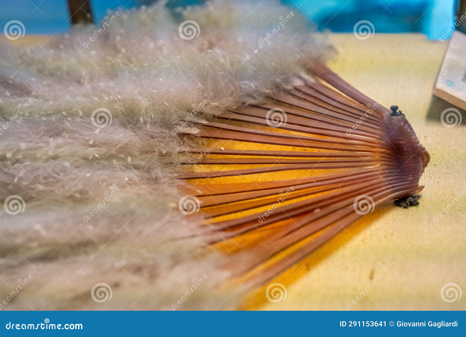 Wooden Spanish Fan Made from Bird Feathers Stock Image - Image of multi ...