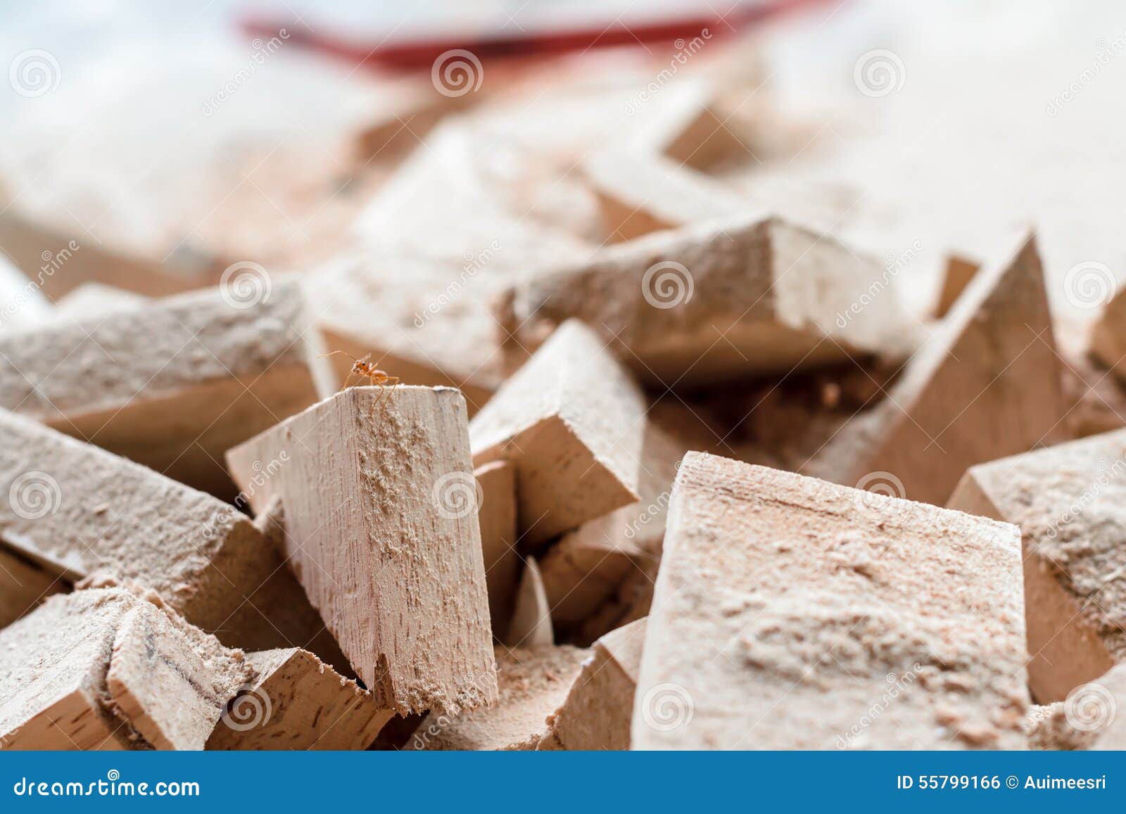 Wooden Splinter Cut and Sawdust Stock Photo - Image of combustion ...