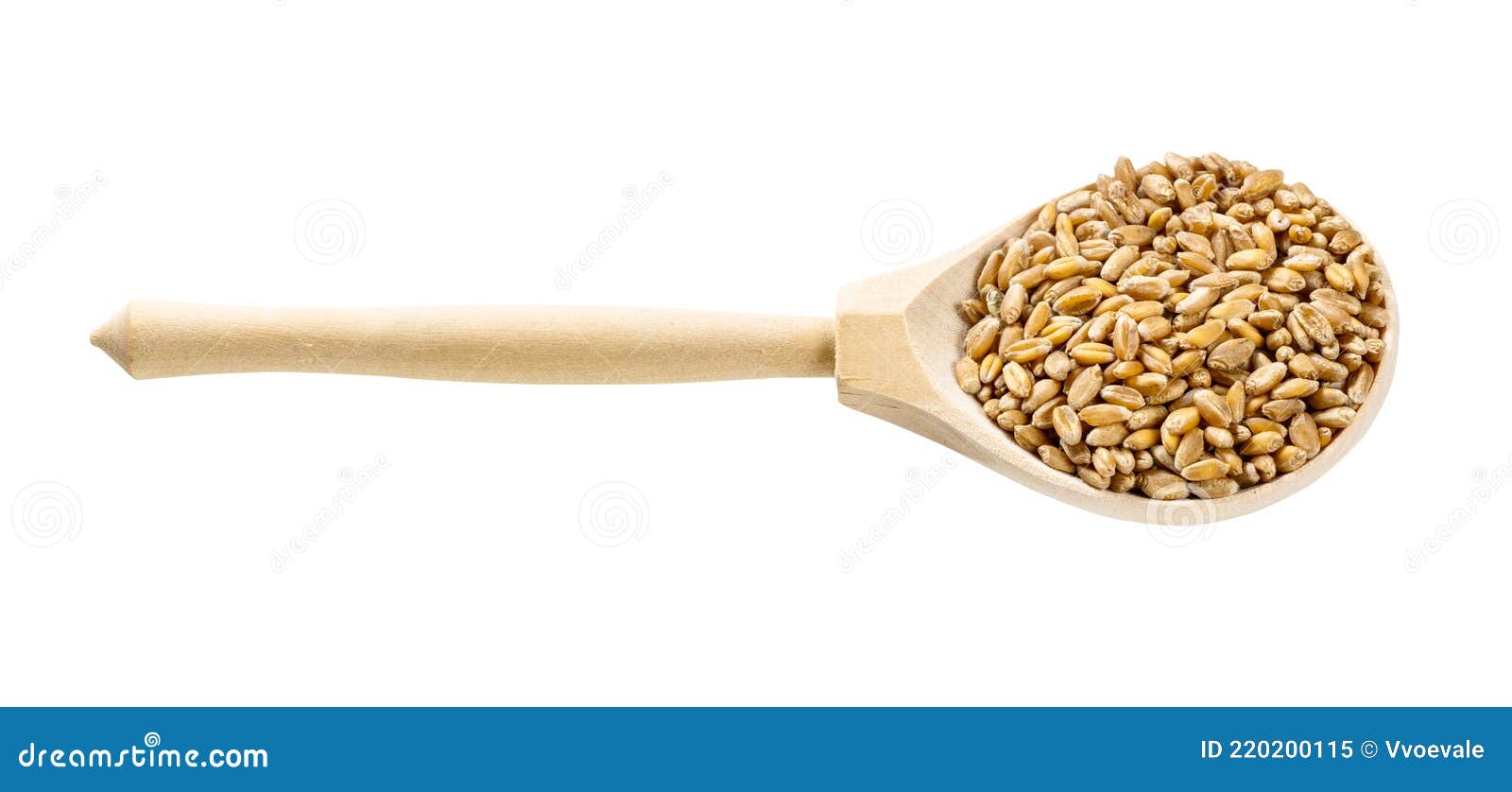 Wooden Spoon with Common Wheat Grains Isolated Stock Image - Image of ...