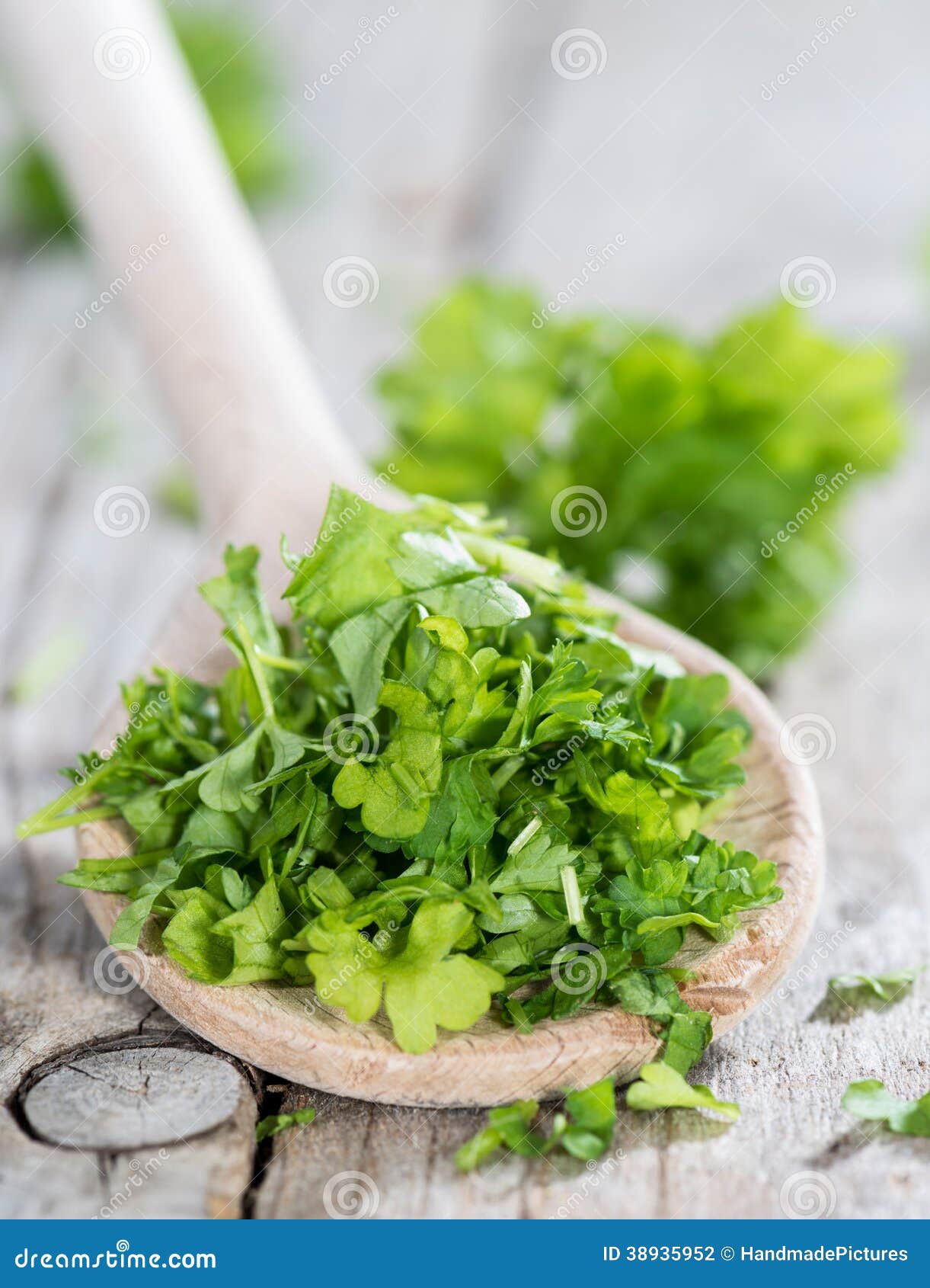 Wooden Spoon with Parsley stock photo. Image of bowl - 38935952