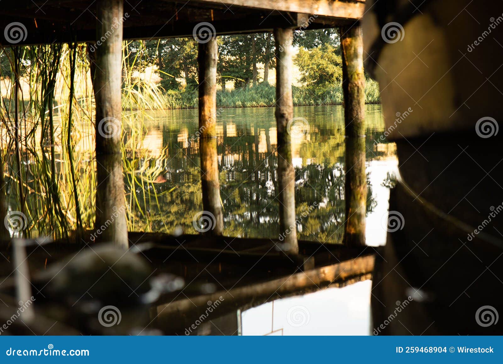 The Wooden Stage on the Pond Stock Photo - Image of wooden, park: 259468904