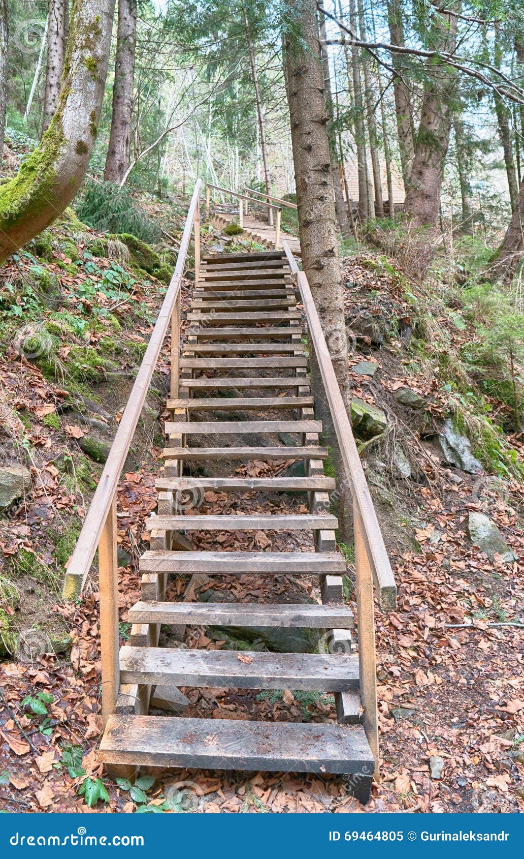 Wooden Staircase in the Forest Stock Image - Image of street, steps ...