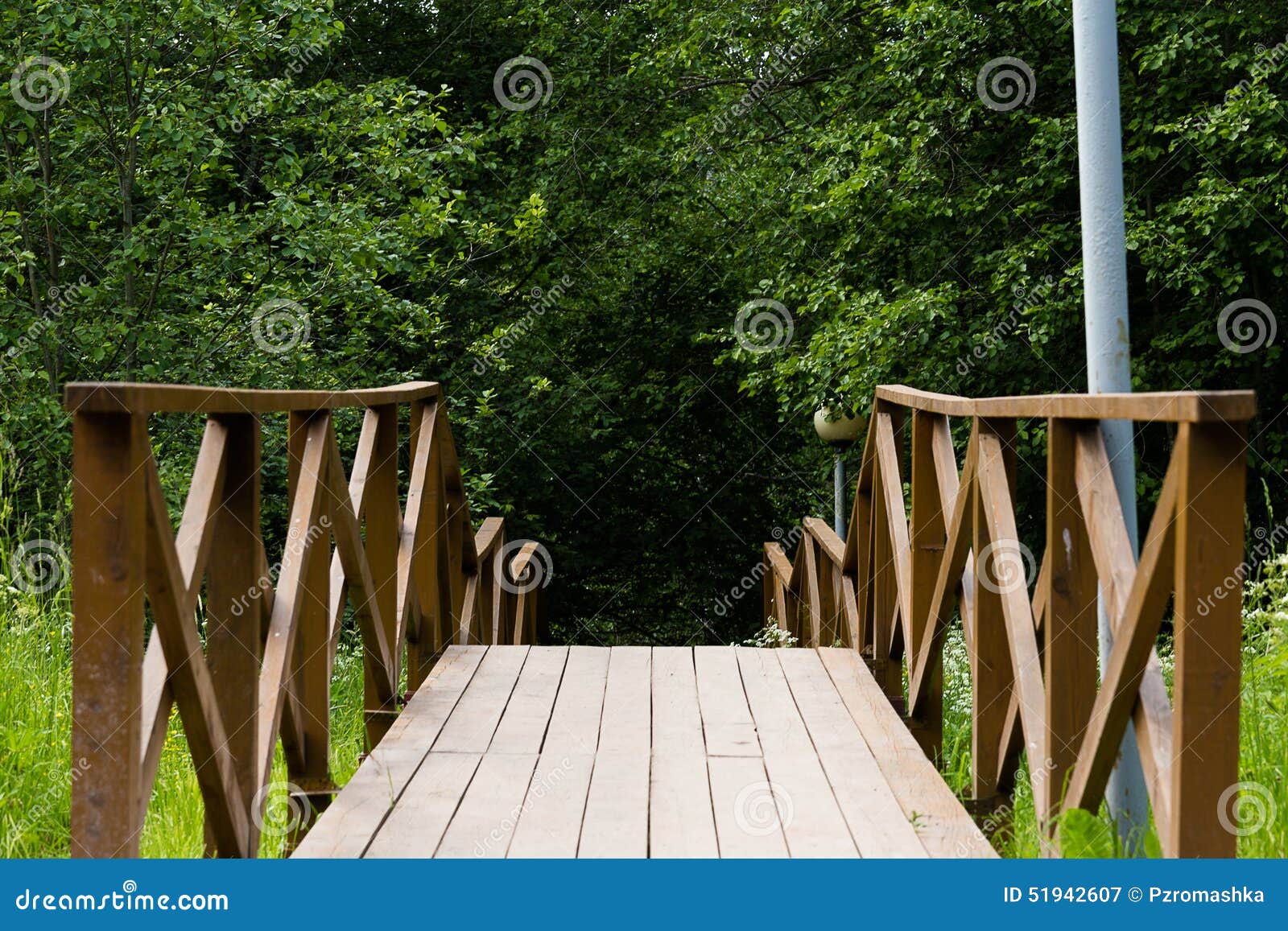 Wooden Staircase in the Park Stock Image - Image of garden, tree: 51942607