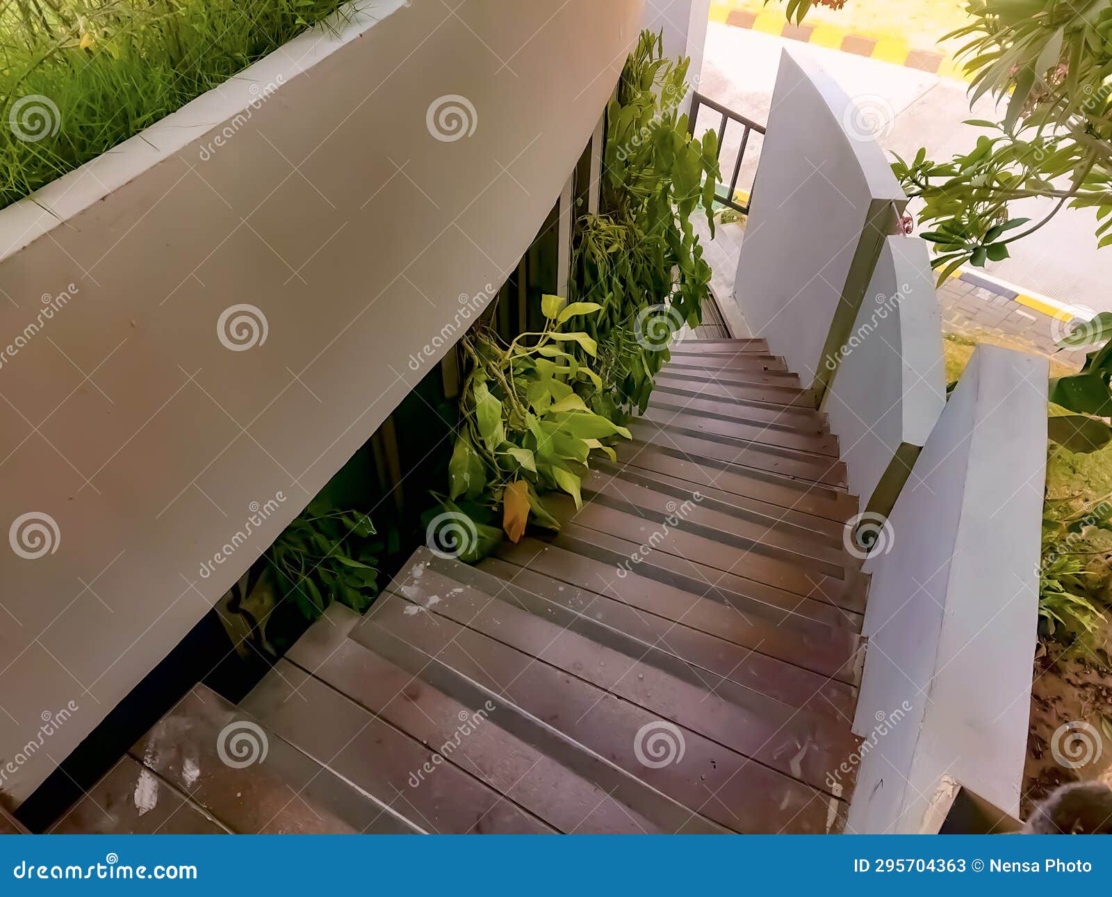 A Wooden Staircase with Plants Growing on it Stock Image - Image of ...