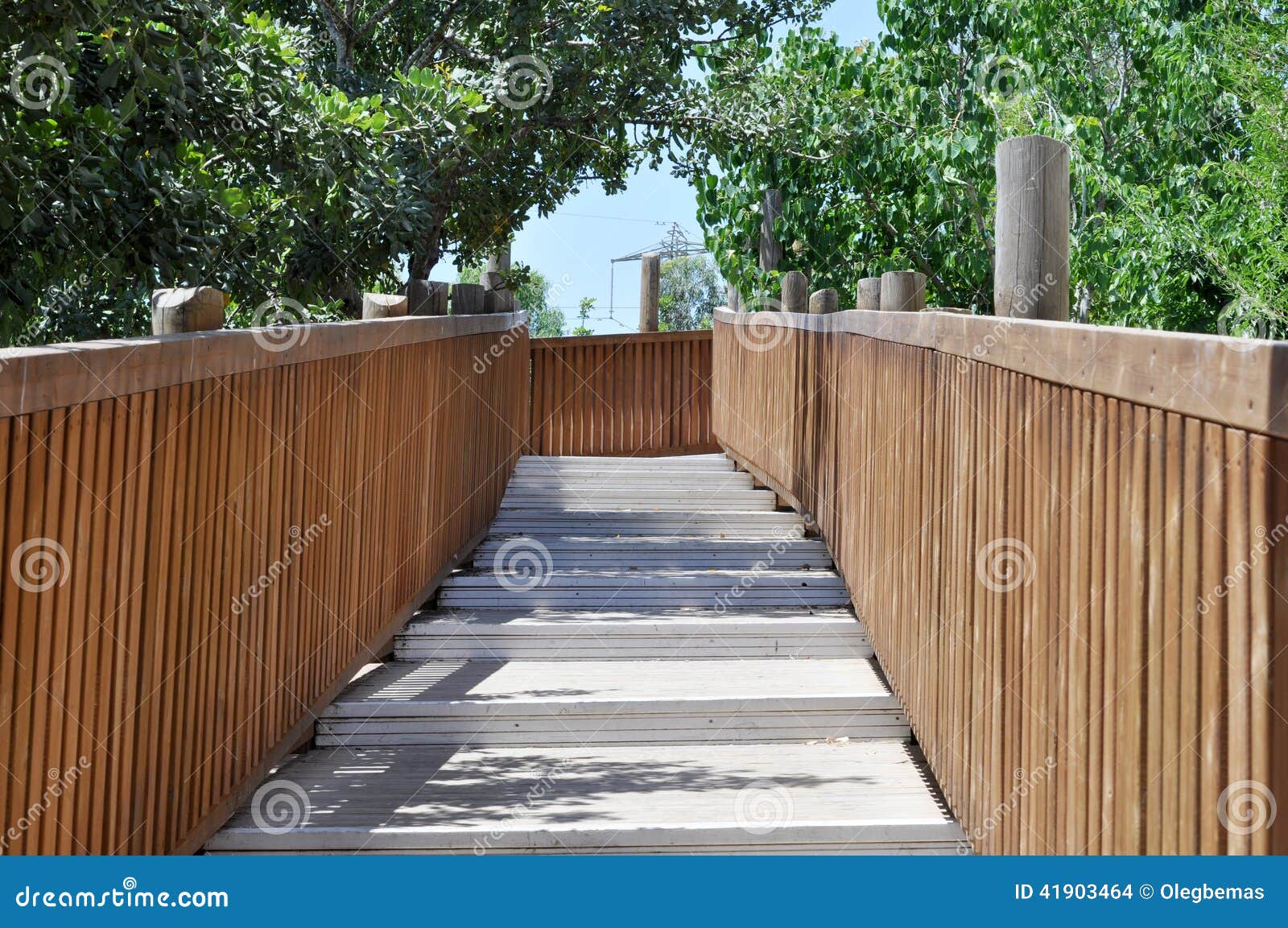 Wooden stairs - bridge stock photo. Image of wooden, greens - 41903464