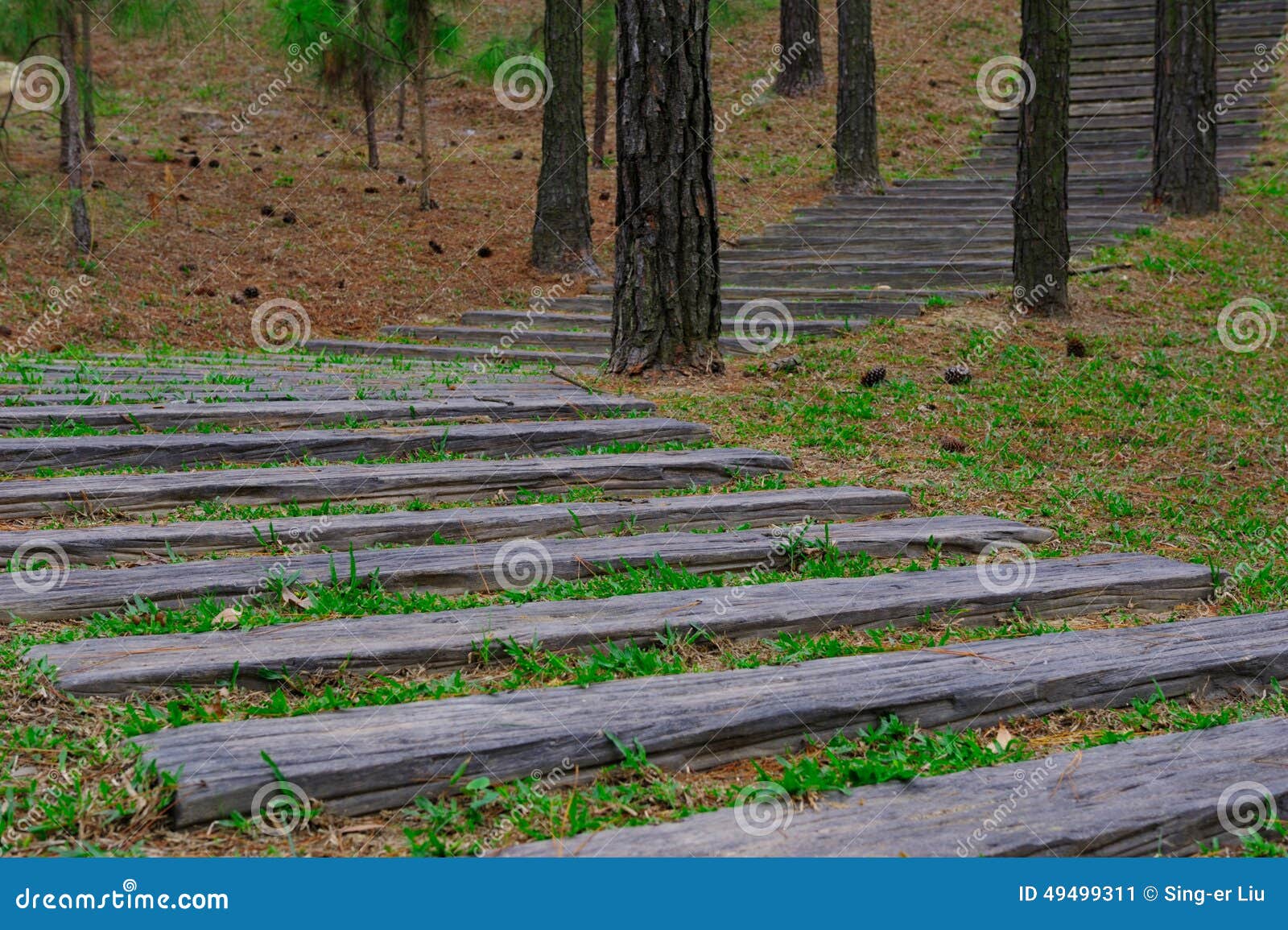 Wooden Stairs Extend in the Woods. Stock Image - Image of stairs, grass ...