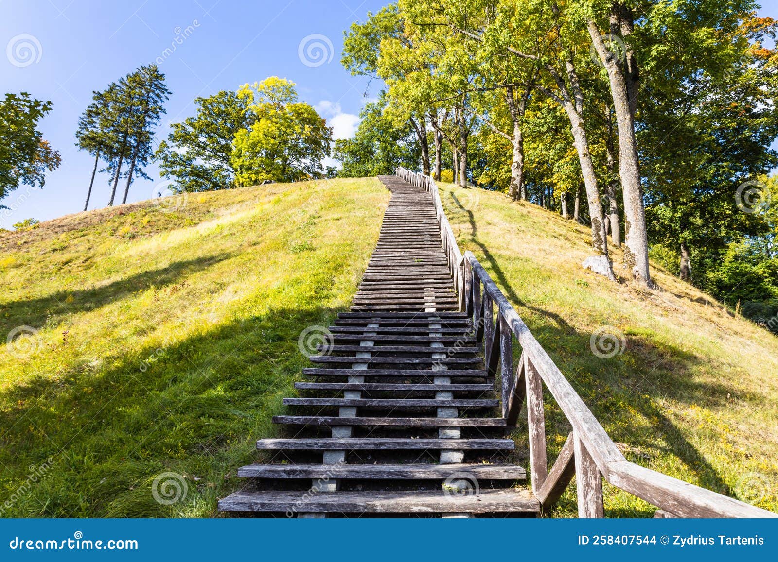 Wooden Stairs Going Up on the Hill and Forest Stock Photo - Image of ...