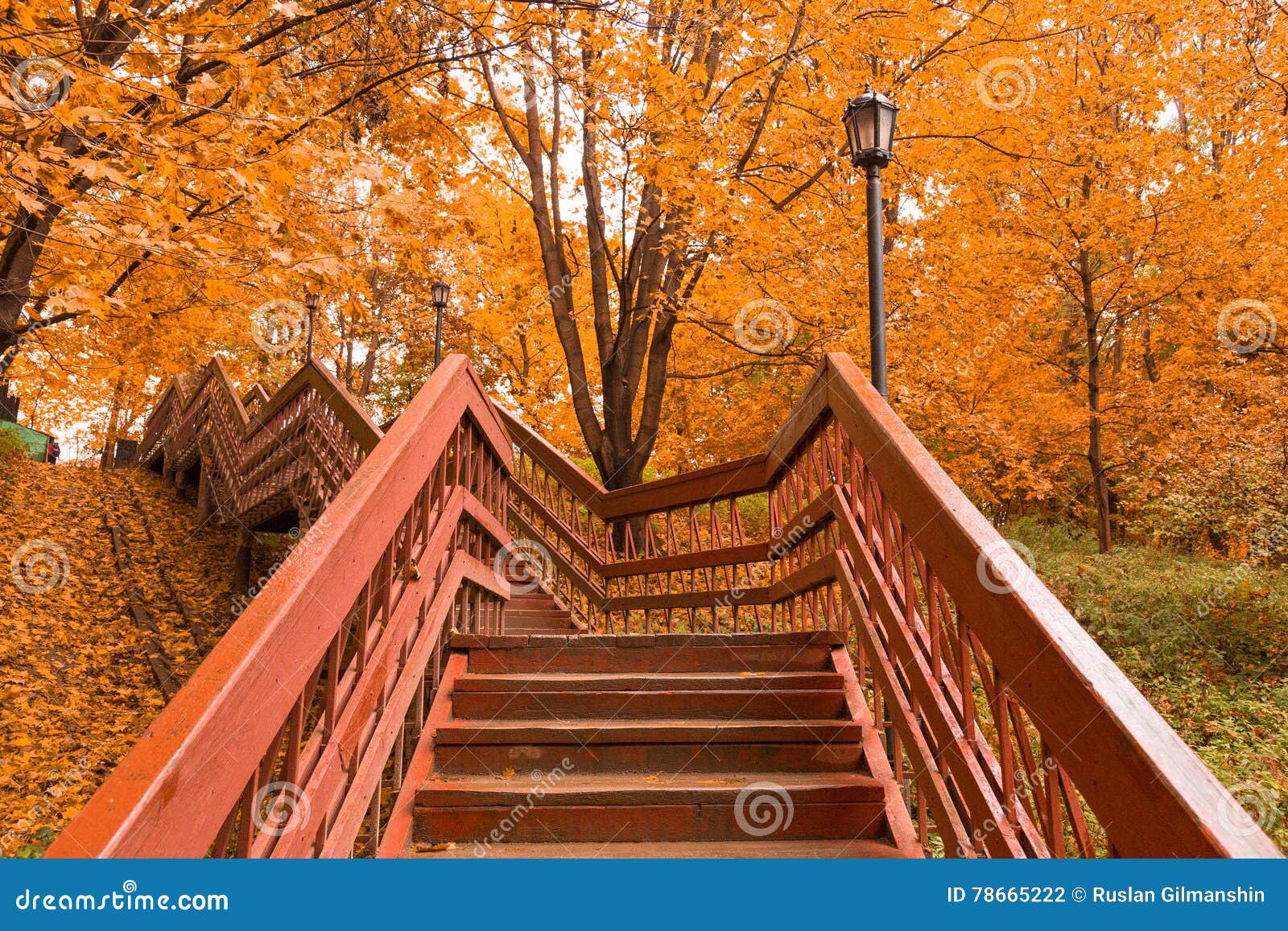 Wooden Stairs with Leaves in the Autumn Forest Stock Photo - Image of ...