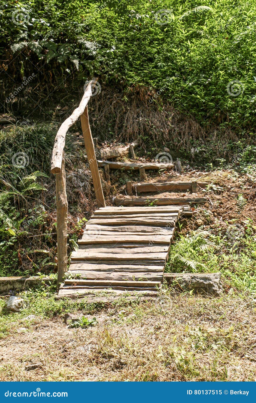 Wooden Stairs Made from Tree Trunks Stock Image - Image of green ...