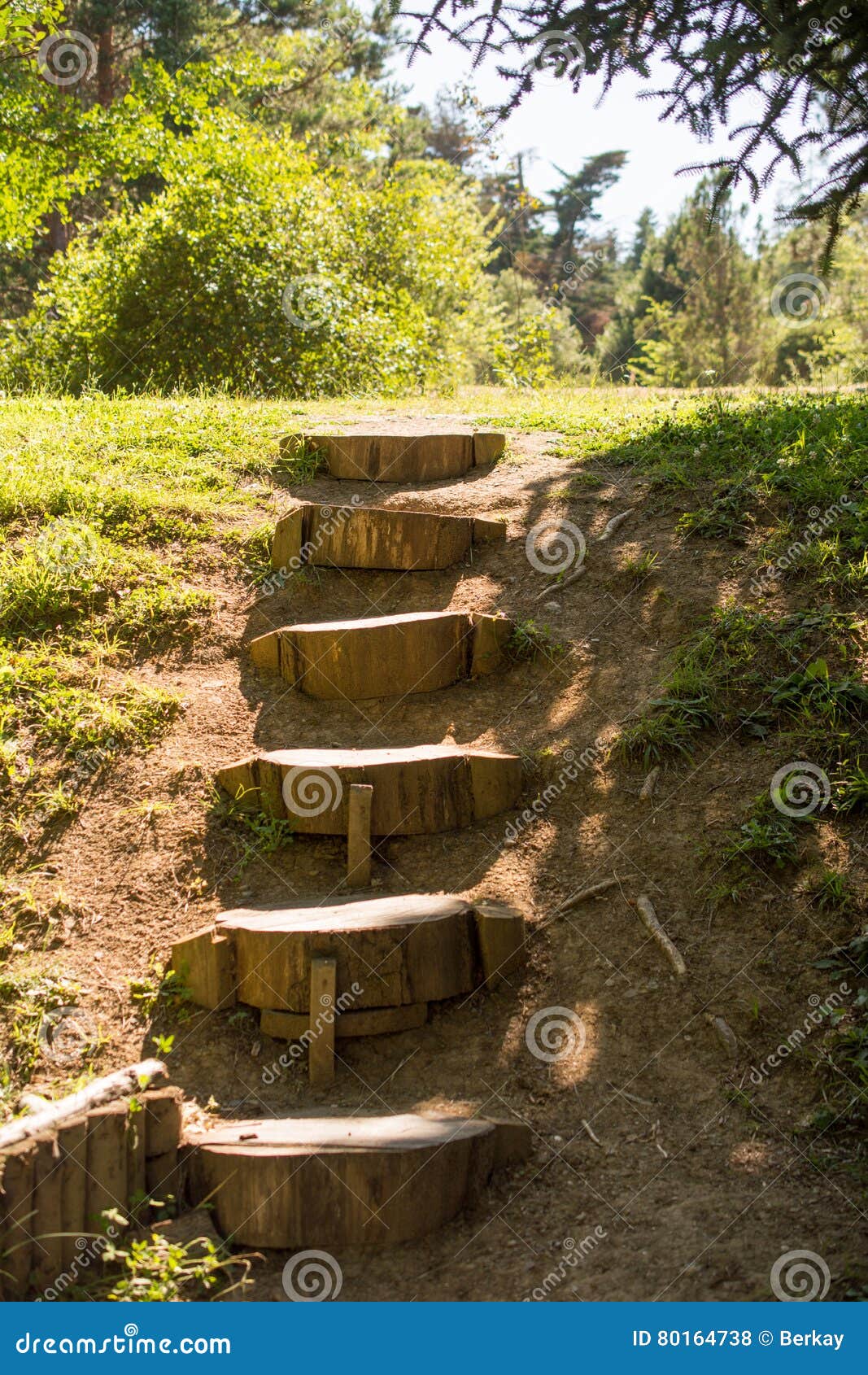 Wooden Stairs Made from Tree Trunks Stock Photo - Image of steps, woods ...