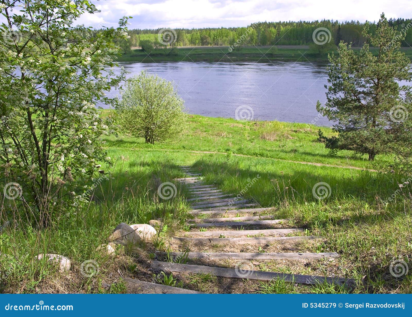 Wooden stairs to river stock image. Image of woods, green - 5345279