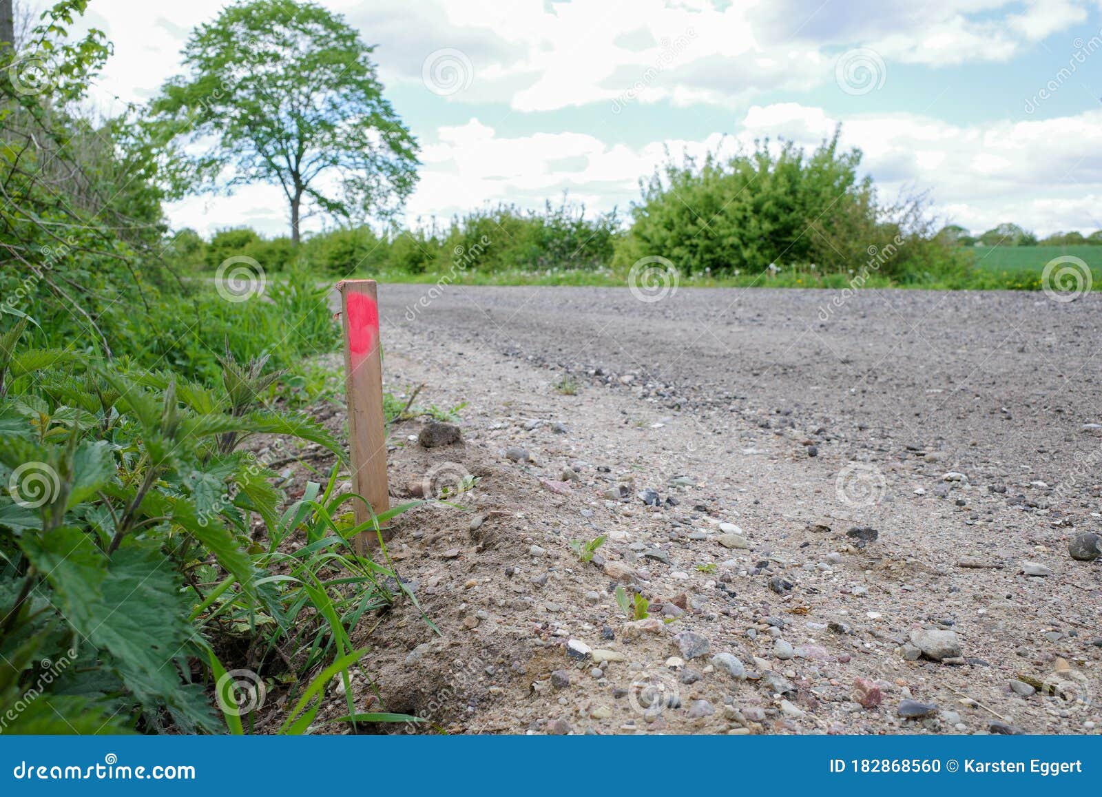 Wooden Stake Marks the Width of a Path for the Road Builders Stock ...