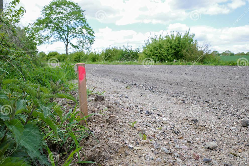 Wooden Stake Marks the Width of a Path for the Road Builders Stock ...