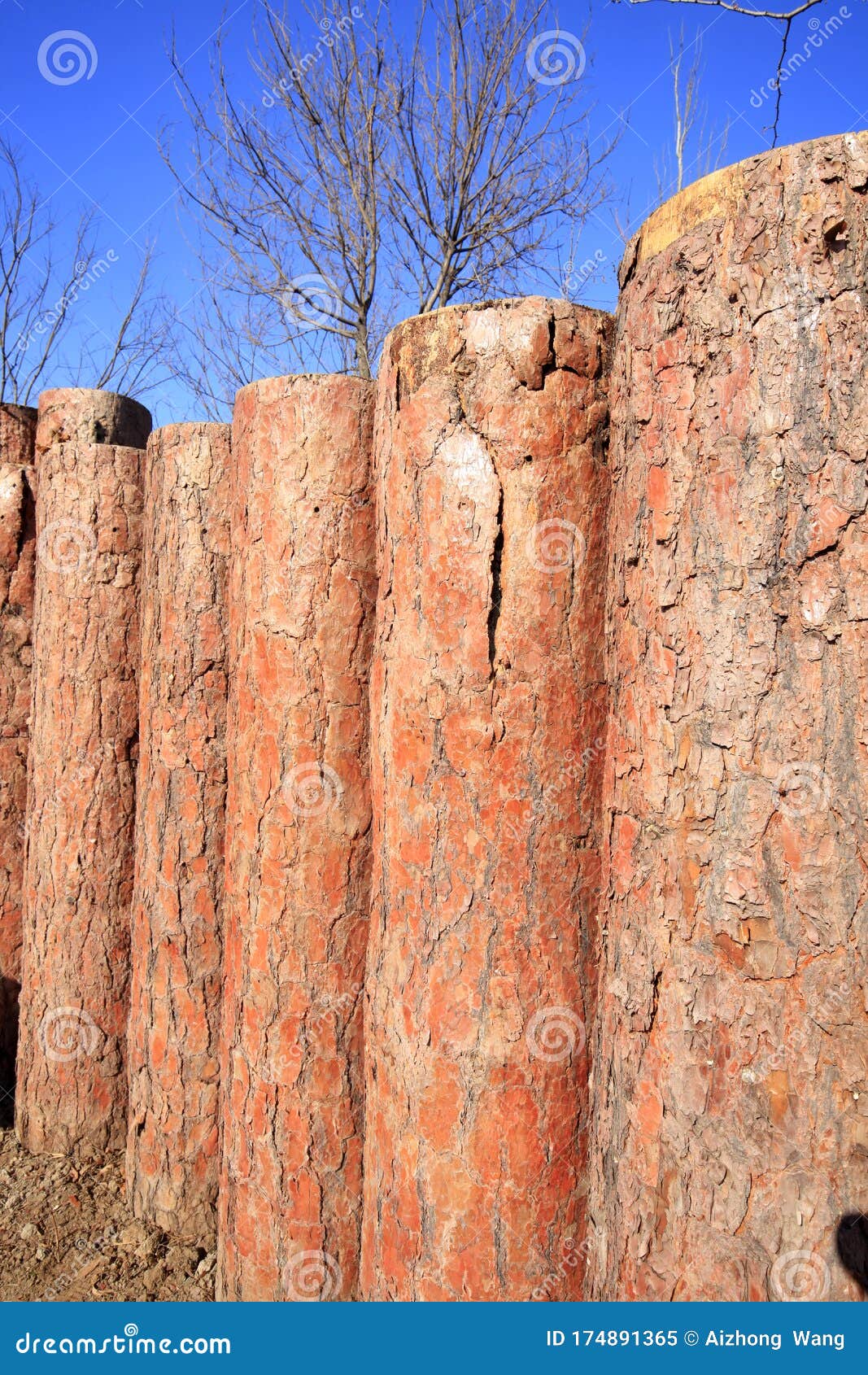 Wooden stake stock image. Image of nature, board, obstacle - 174891365