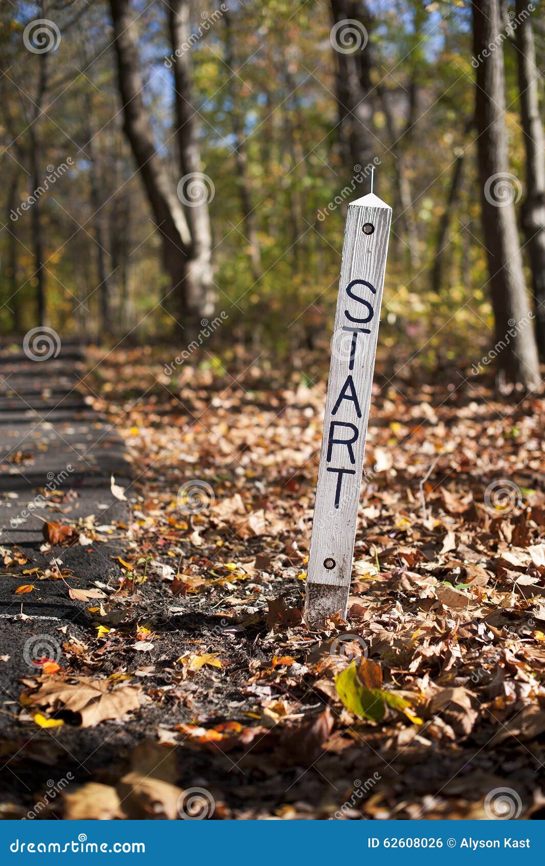 Wooden Start Sign at Beginning of Trail Stock Photo - Image of leaves ...