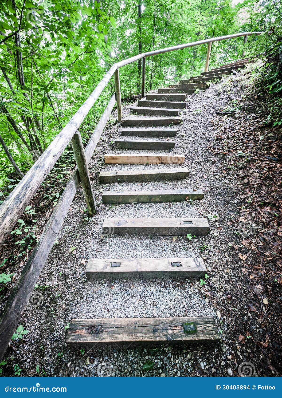 Wooden steps stock photo. Image of tree, steps, floor - 30403894